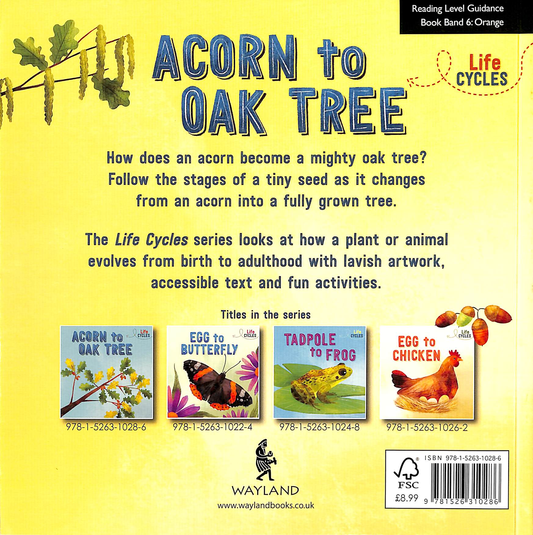 Acorn to oak tree by Tonkin, Rachel (9781526310286) | BrownsBfS