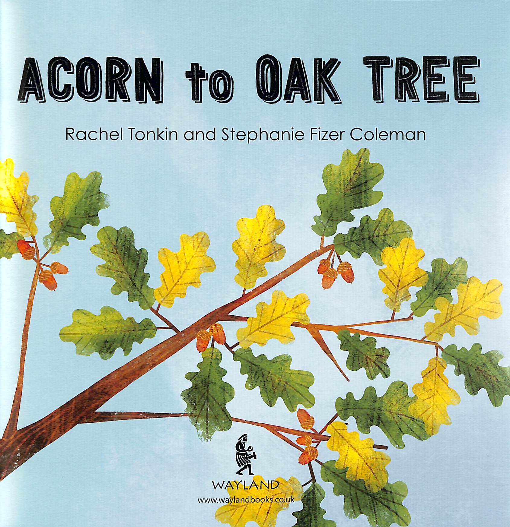 Acorn to oak tree by Tonkin, Rachel (9781526310286) | BrownsBfS