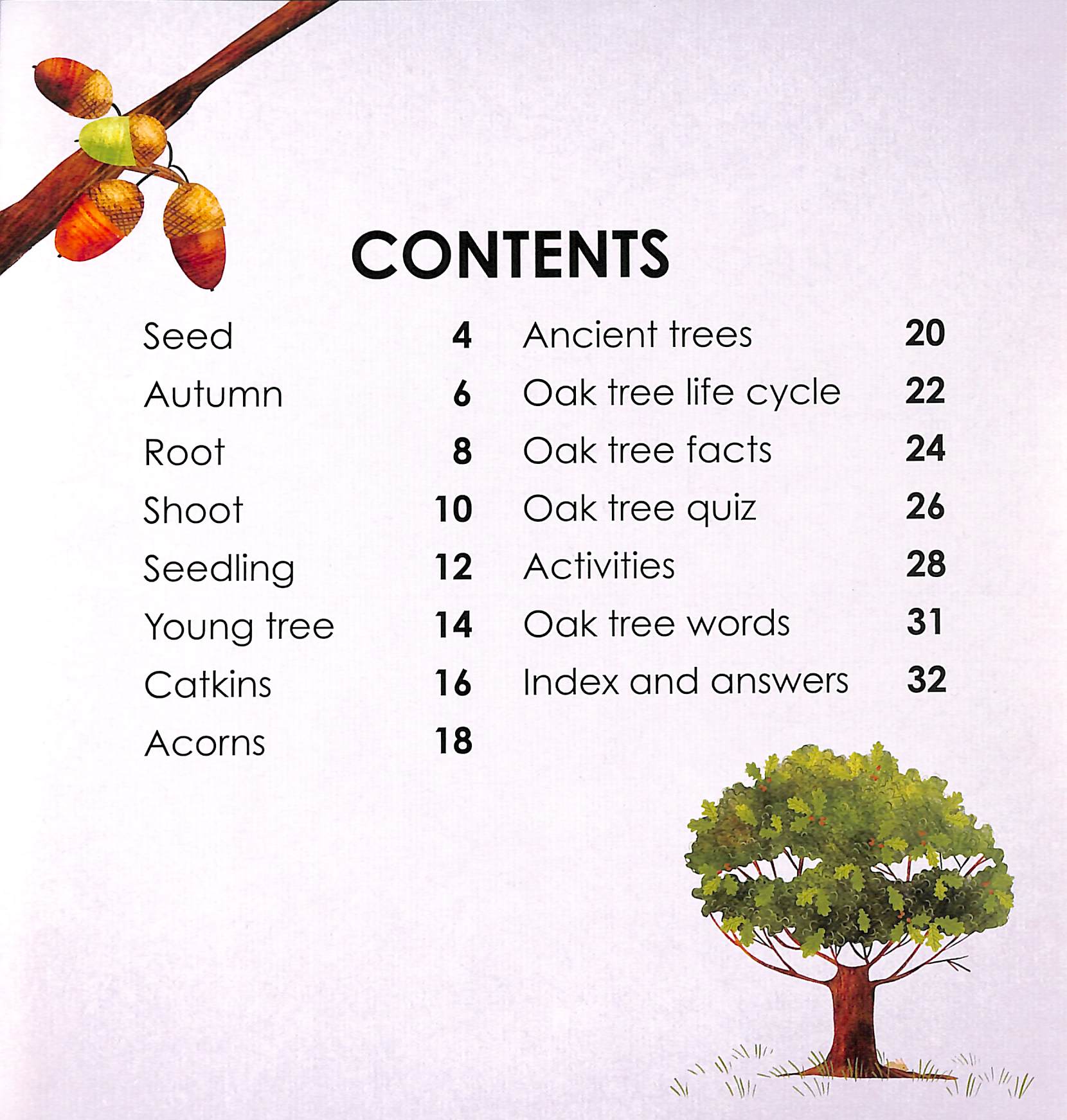 Acorn to oak tree by Tonkin, Rachel (9781526310286) | BrownsBfS