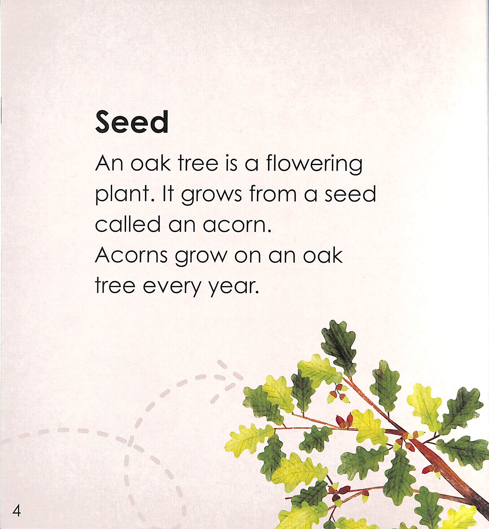 Acorn to oak tree by Tonkin, Rachel (9781526310286) | BrownsBfS