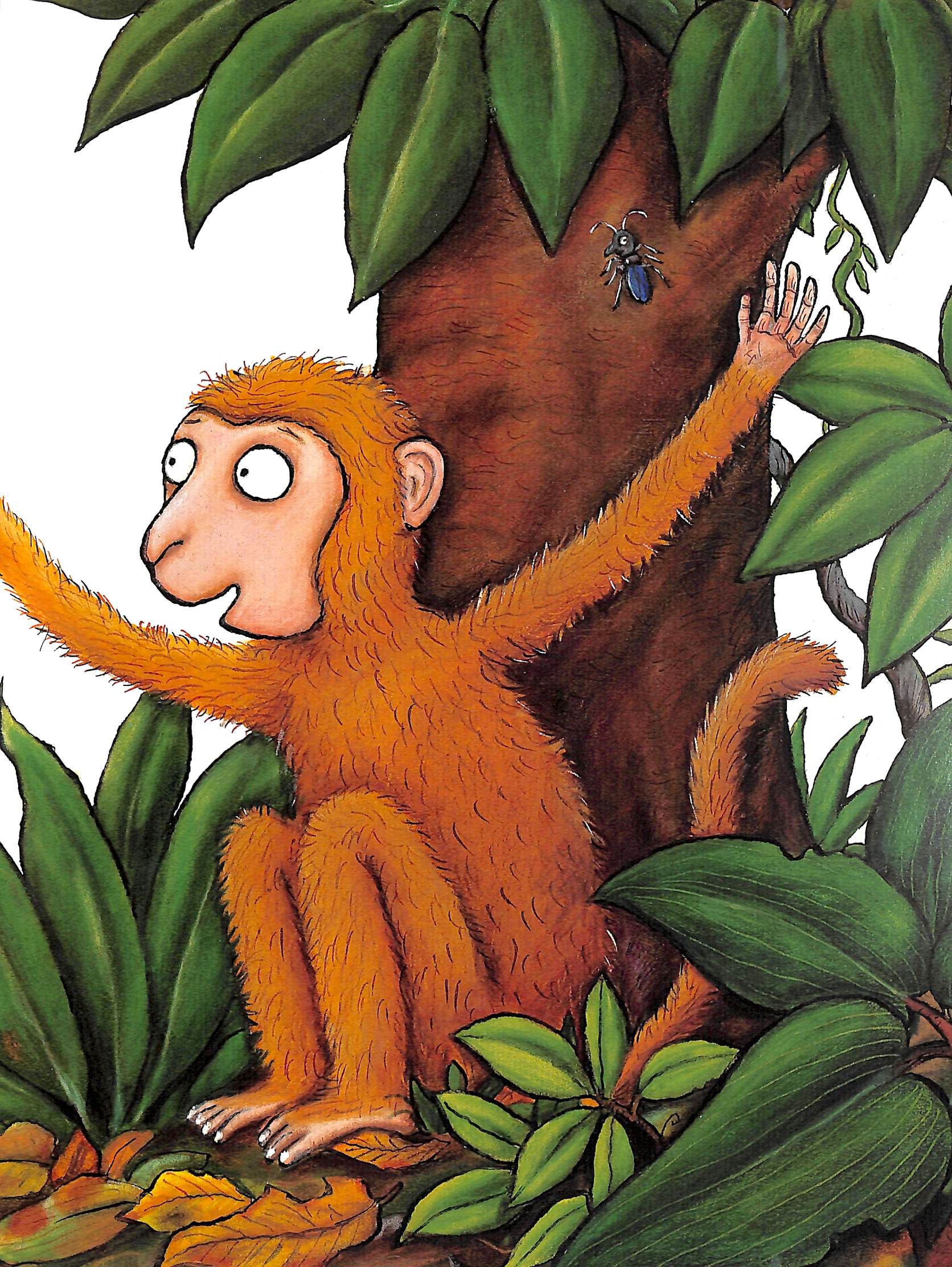 Monkey puzzle by Donaldson, Julia (9781529027785) | BrownsBfS