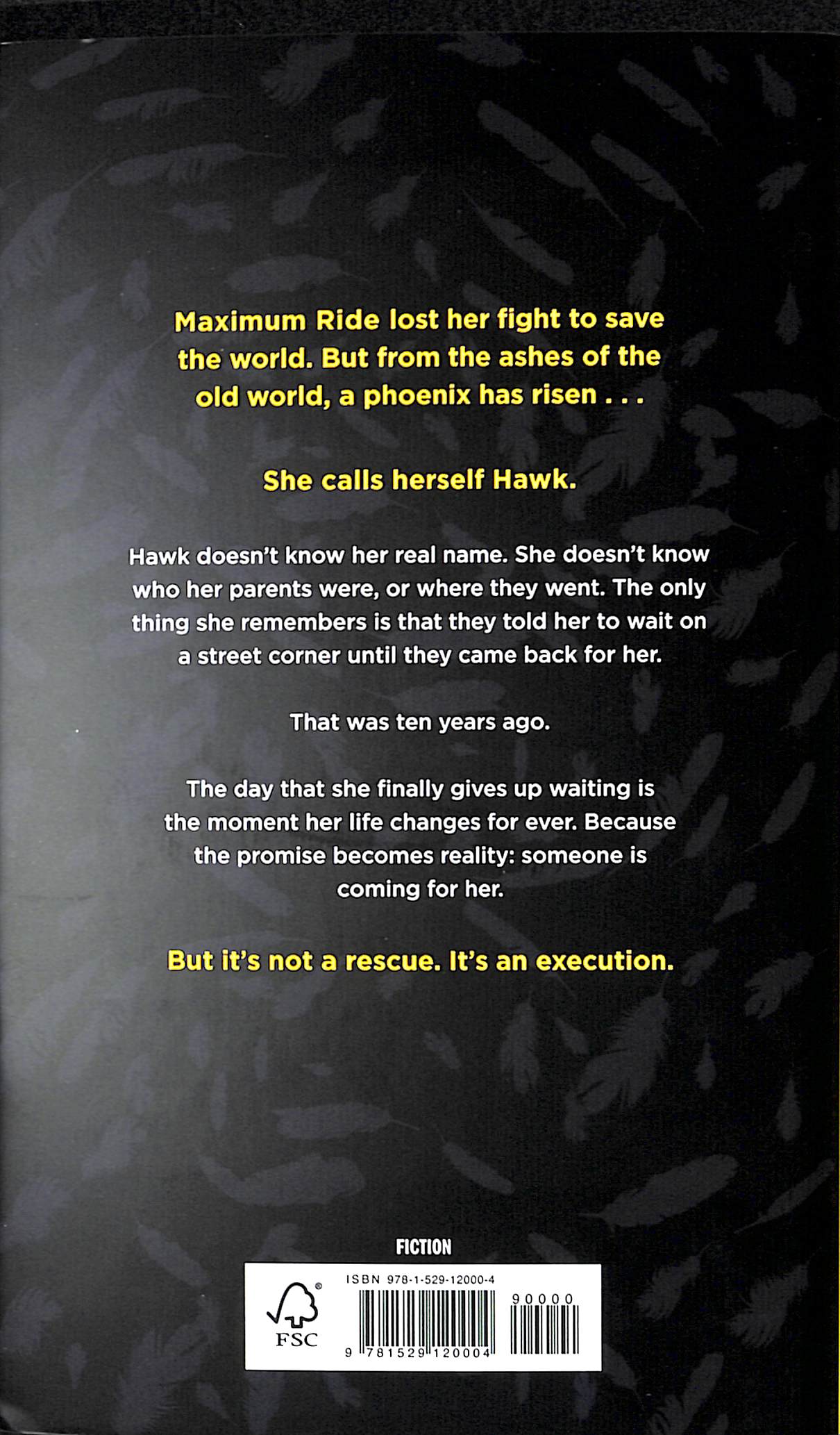 Hawk by Patterson, James (9781529120004) | BrownsBfS