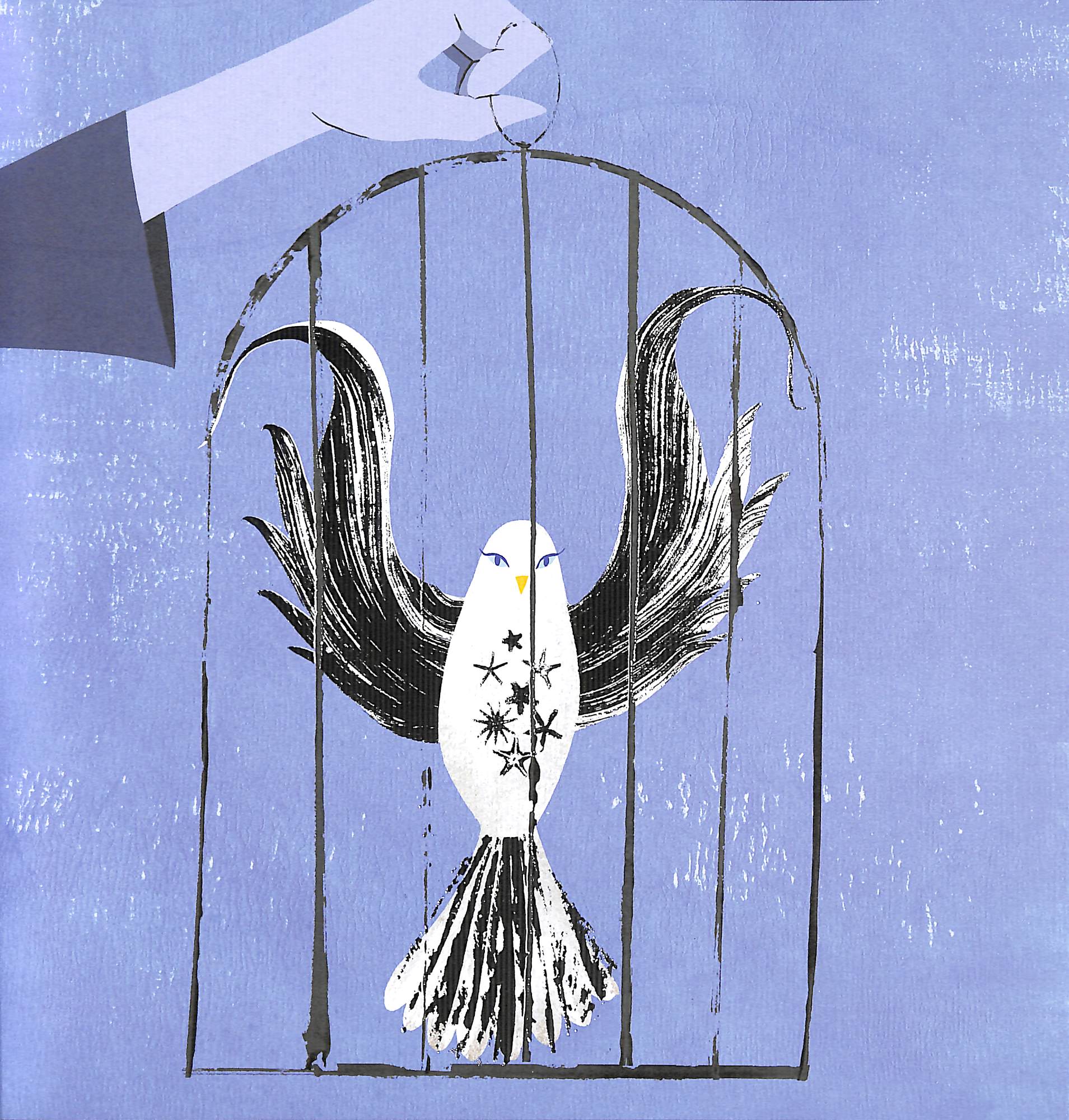 Starbird by King-Chai, Sharon (9781509899579) | Browns Books