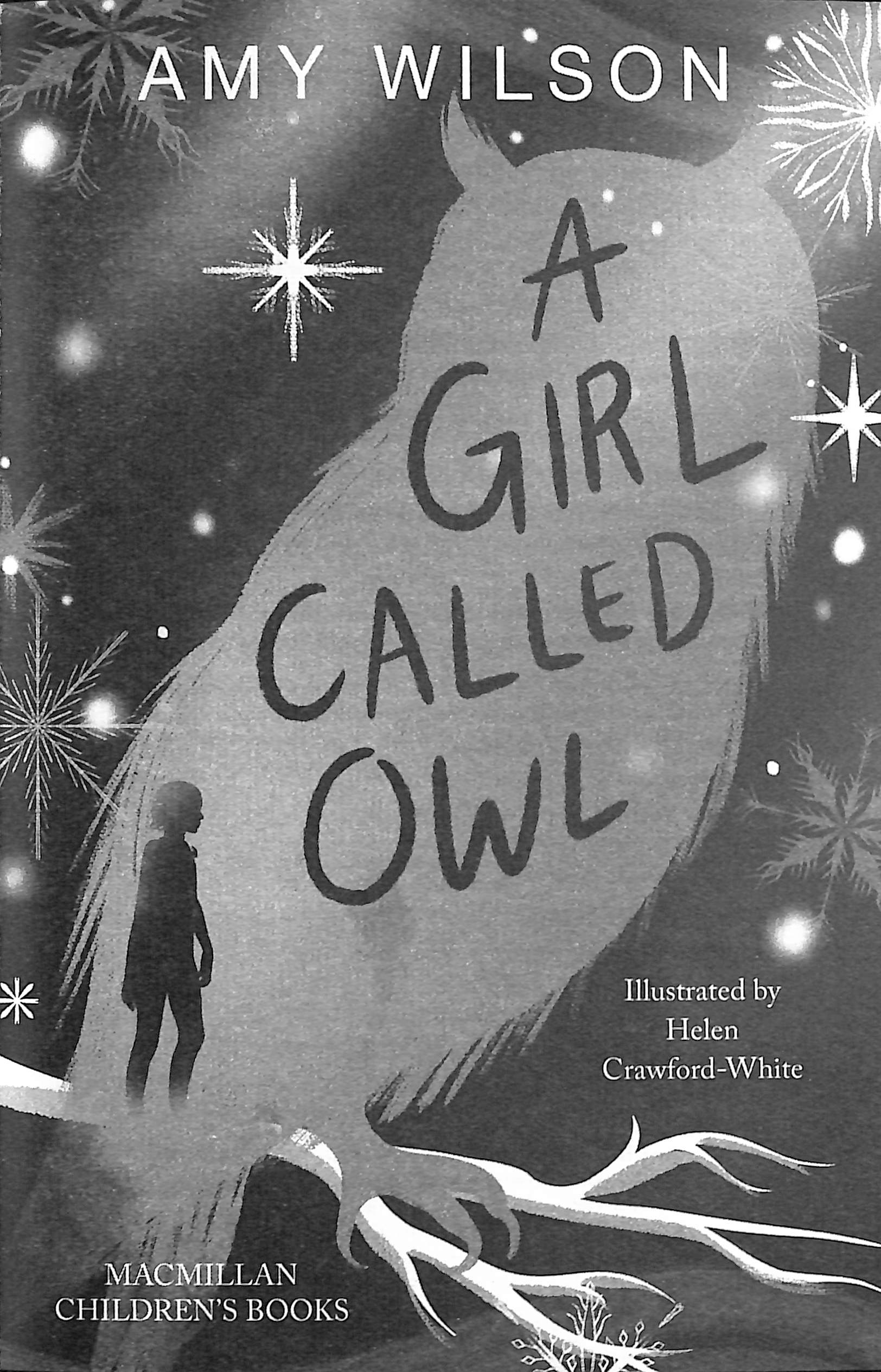 A Girl Called Owl by Wilson, Amy (9781529057751) | Browns Books