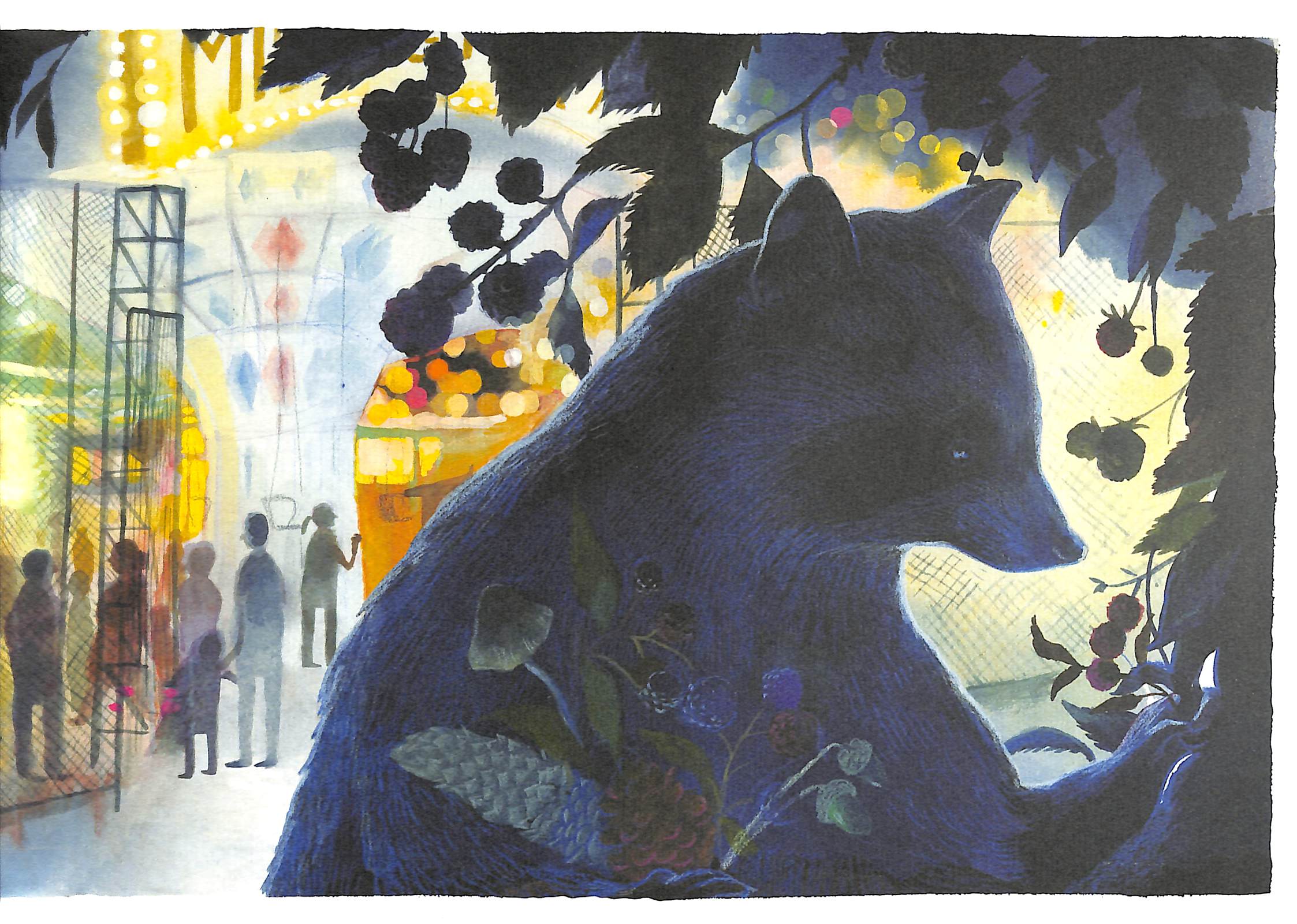 The Midnight Fair by Sterer, Gideon (9781406388312) | Browns Books