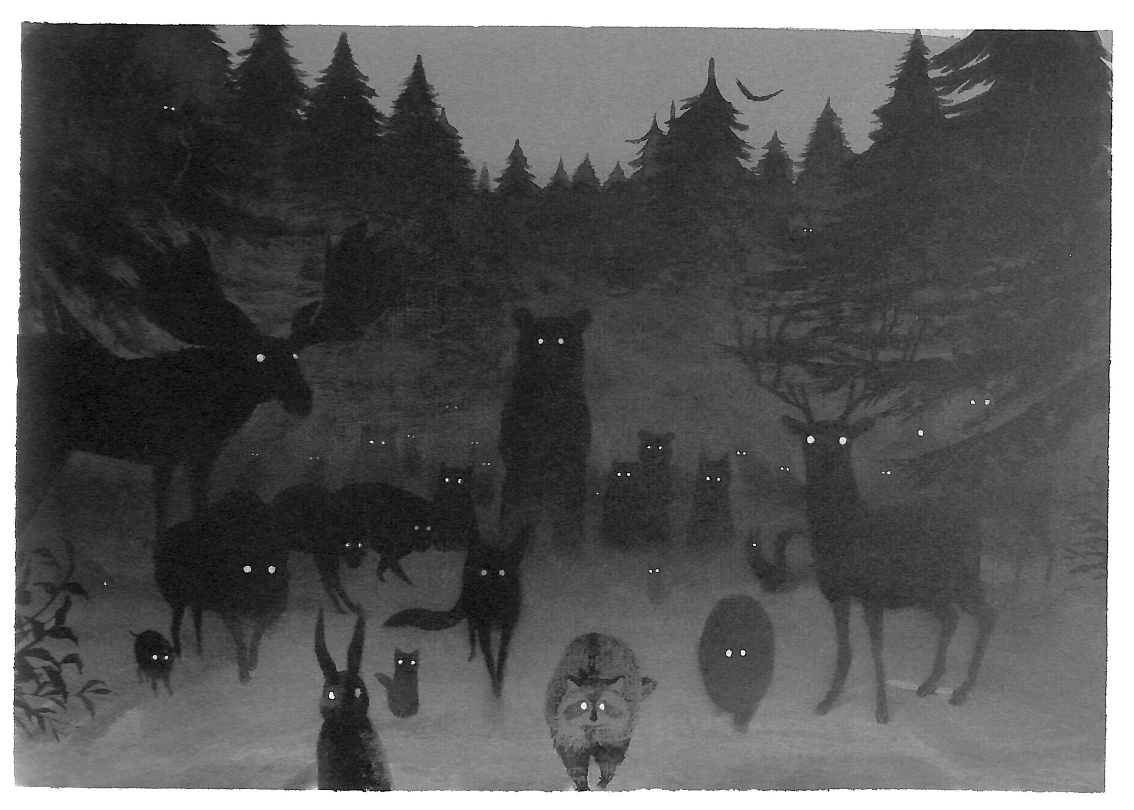 The Midnight Fair by Sterer, Gideon (9781406388312) | Browns Books