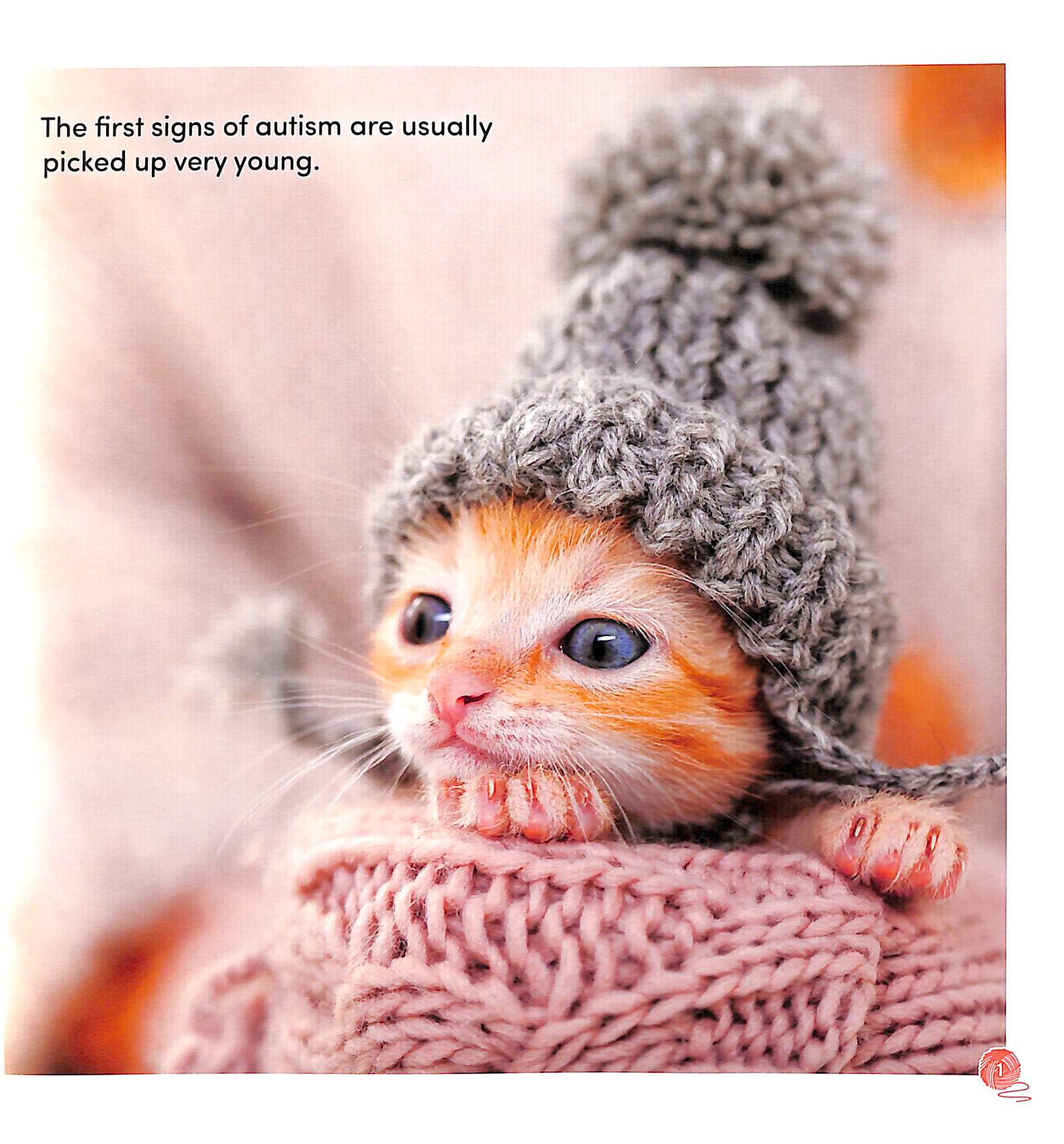 All Cats Are on the Autism Spectrum by Hoopmann, Kathy (9781787754713 ...