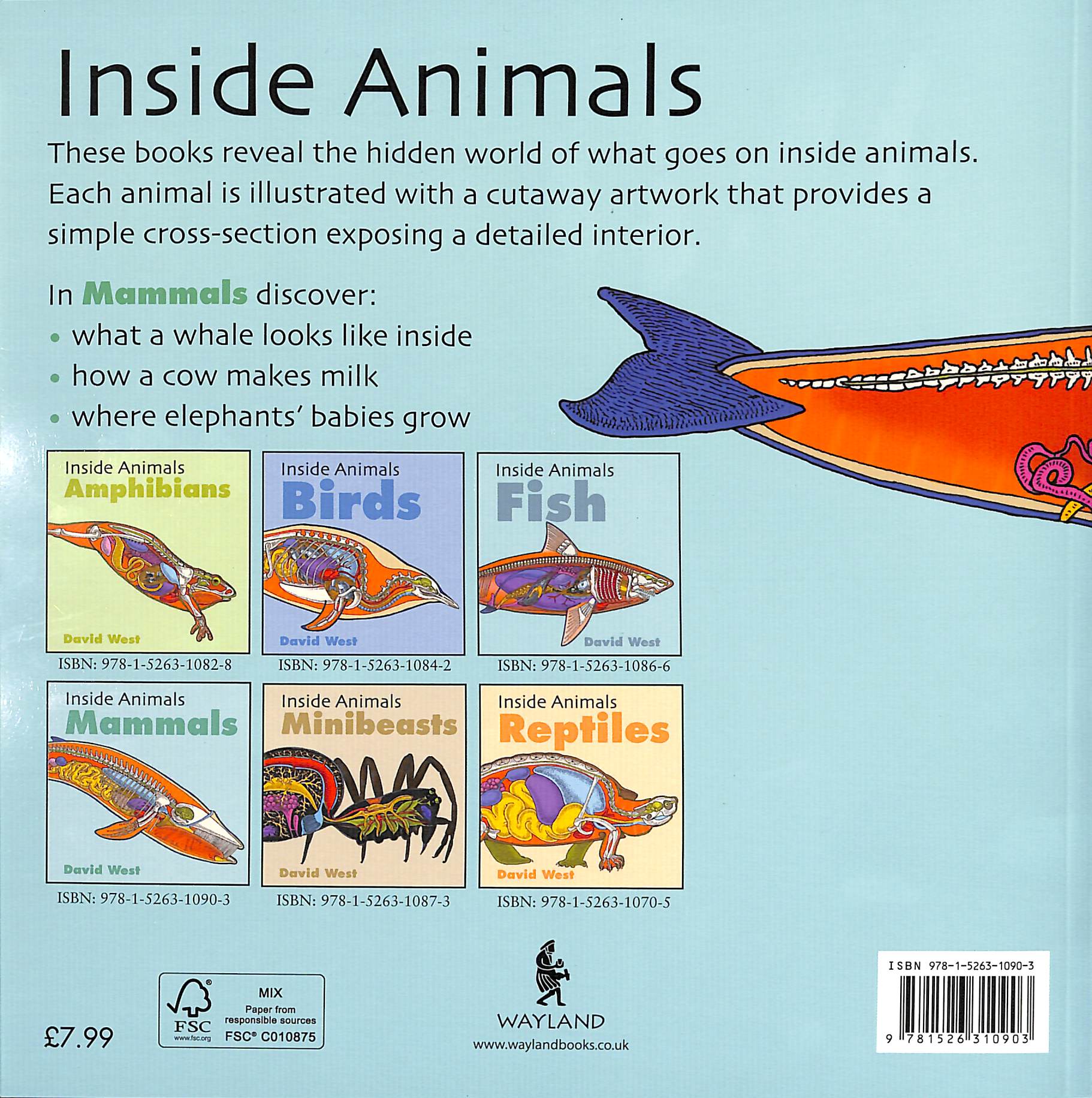 Inside Animals: Mammals by West, David (9781526310903) | Browns Books