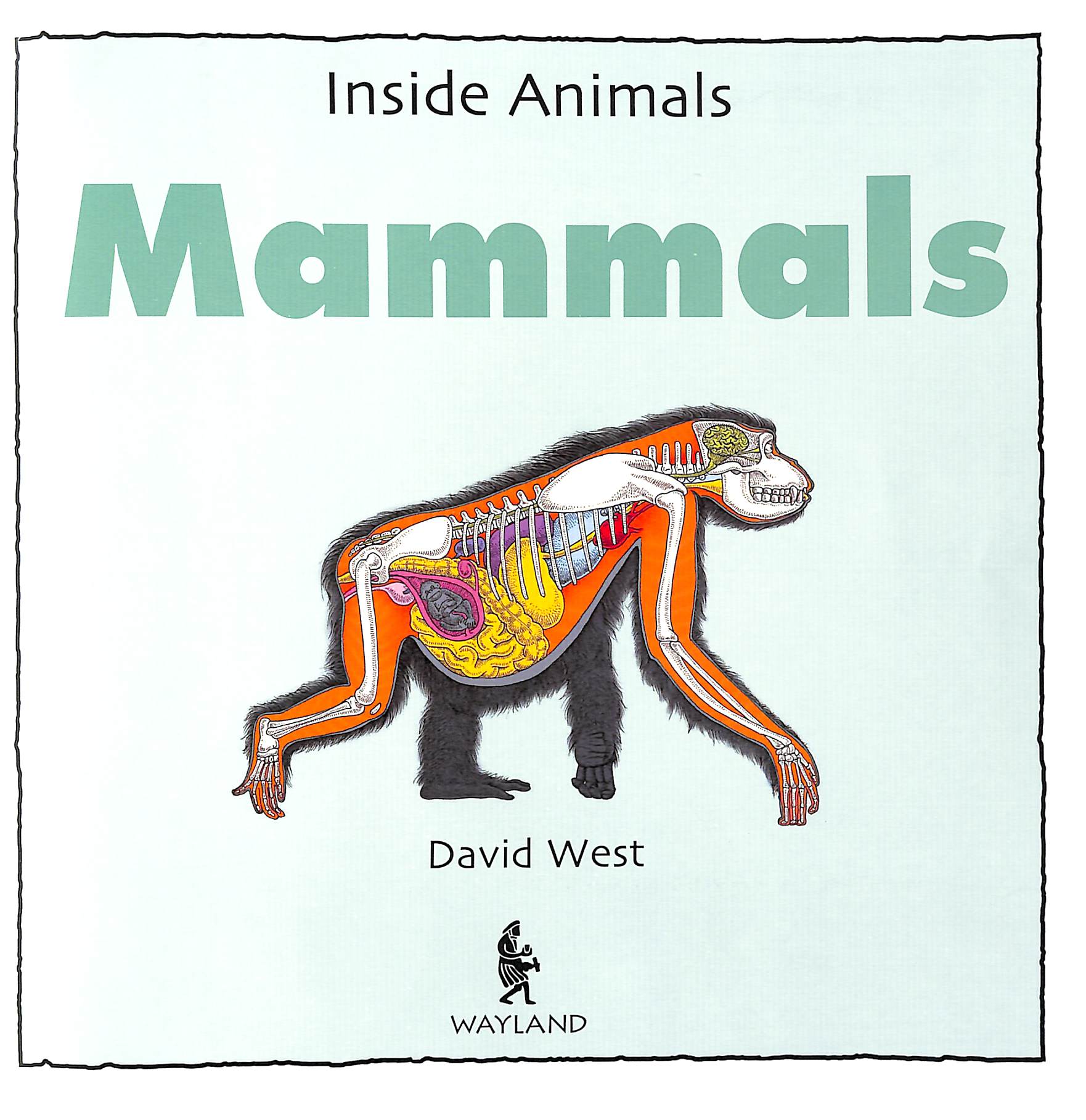 Inside Animals: Mammals by West, David (9781526310903) | Browns Books