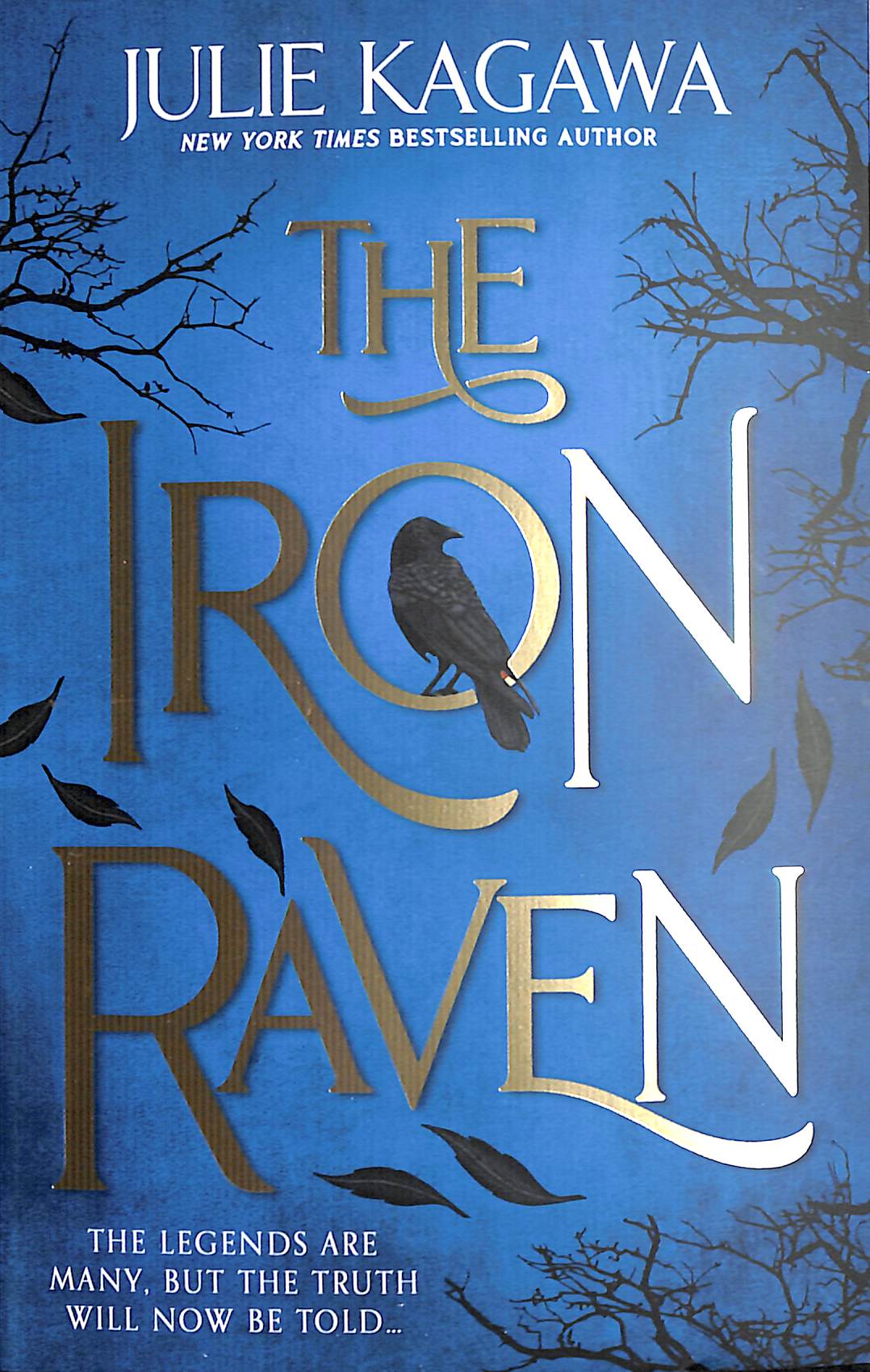 The Iron Raven by Kagawa, Julie (9781848458284) | Browns Books