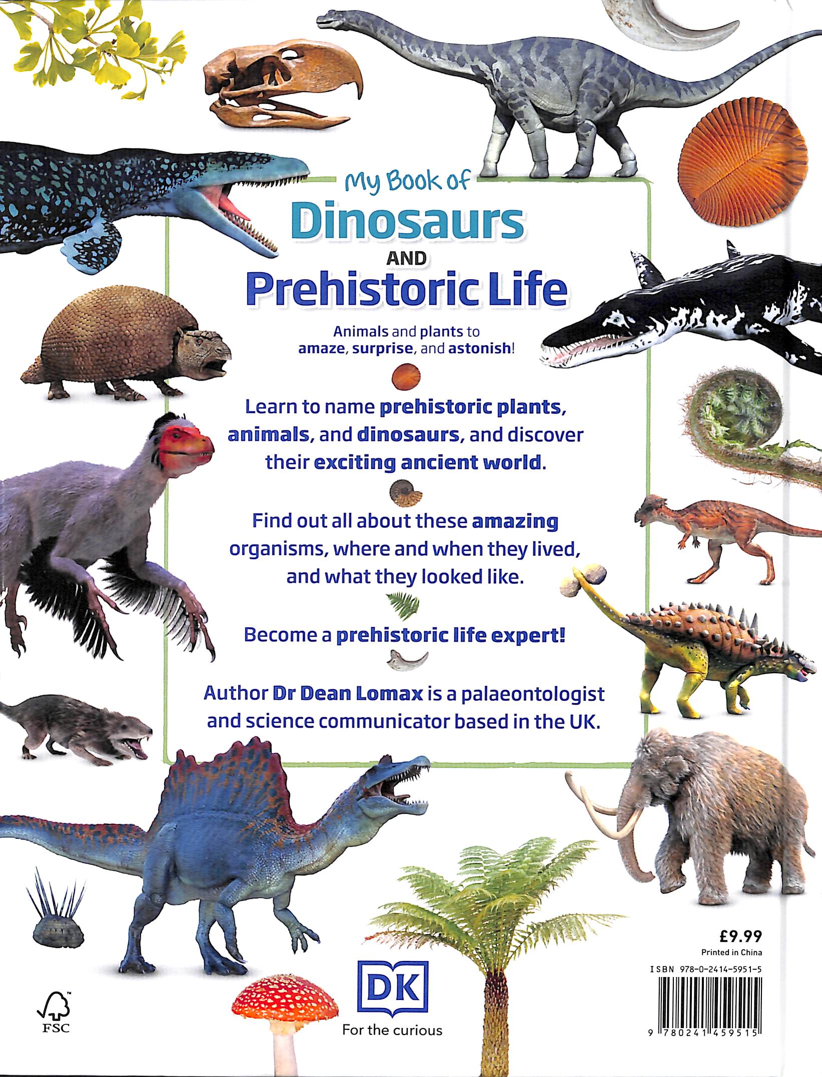 My book of dinosaurs and prehistoric life by DK (9780241459515) | BrownsBfS