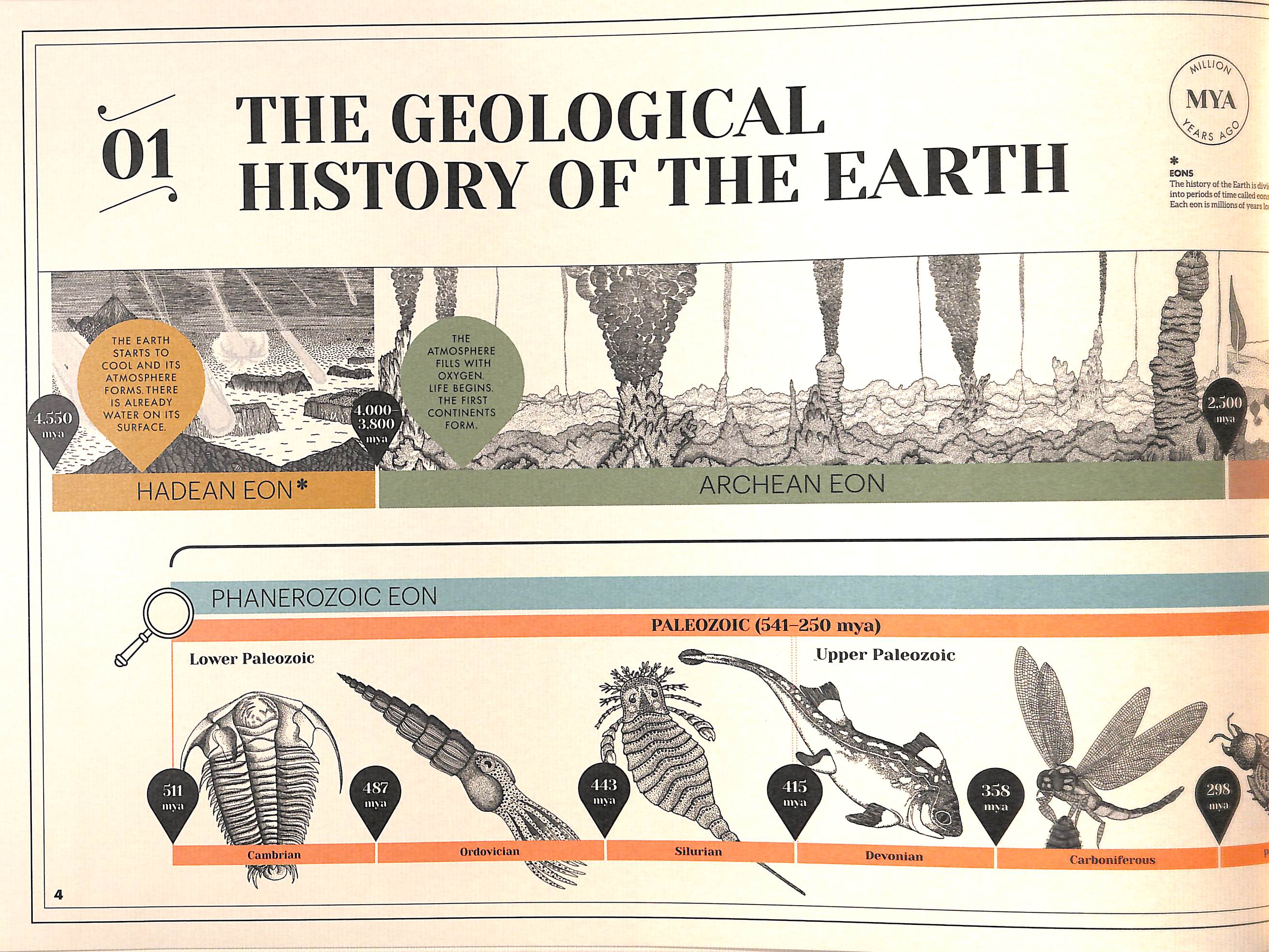How Life on Earth Began : Fossils · Dinosaurs · The First Humans