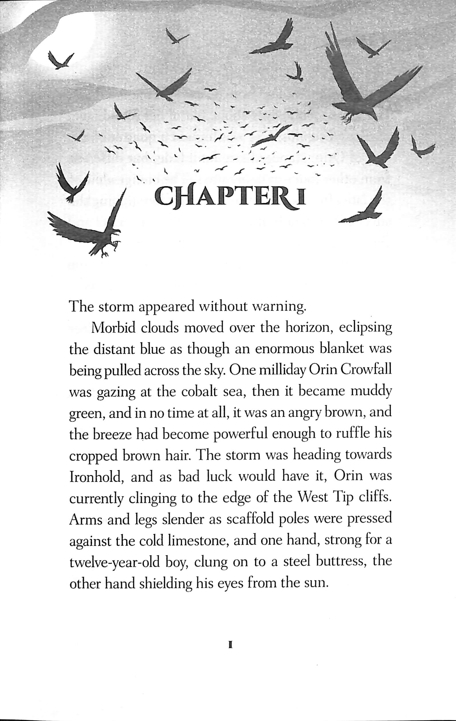 Crowfall by Hardy, Vashti (9781407197272) | Browns Books