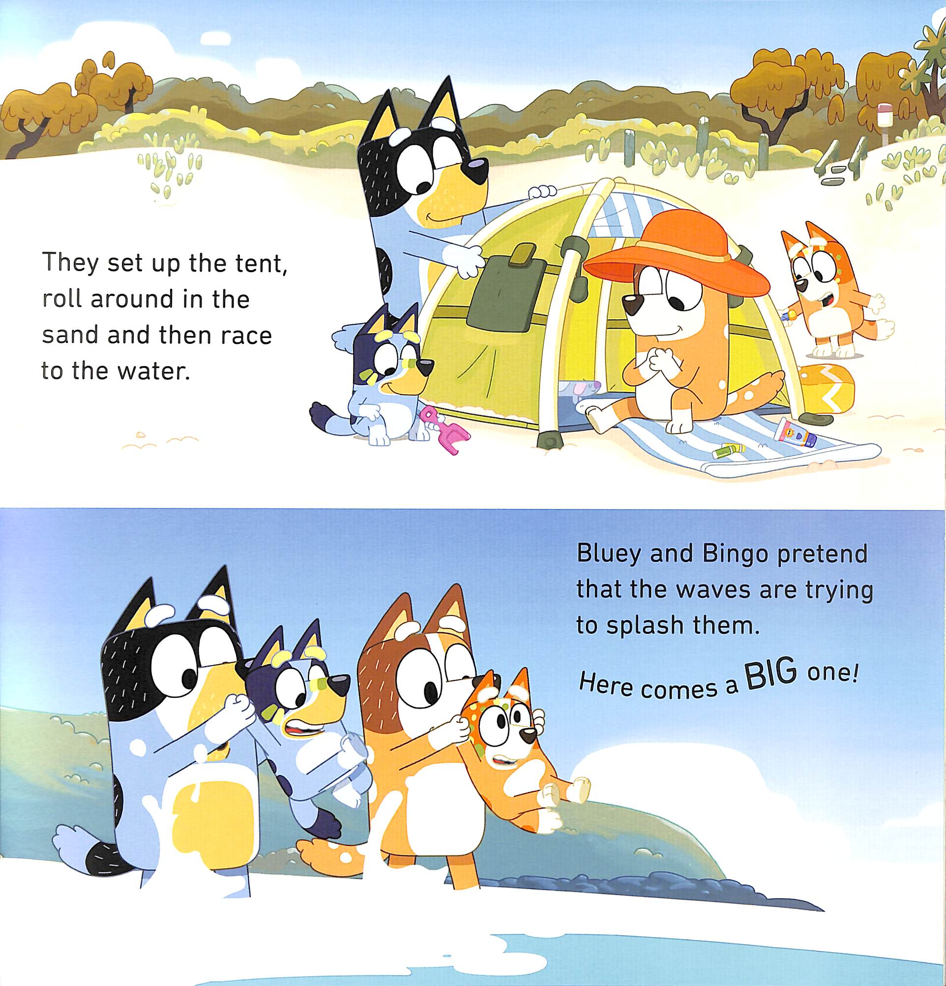 Bluey: The Beach
