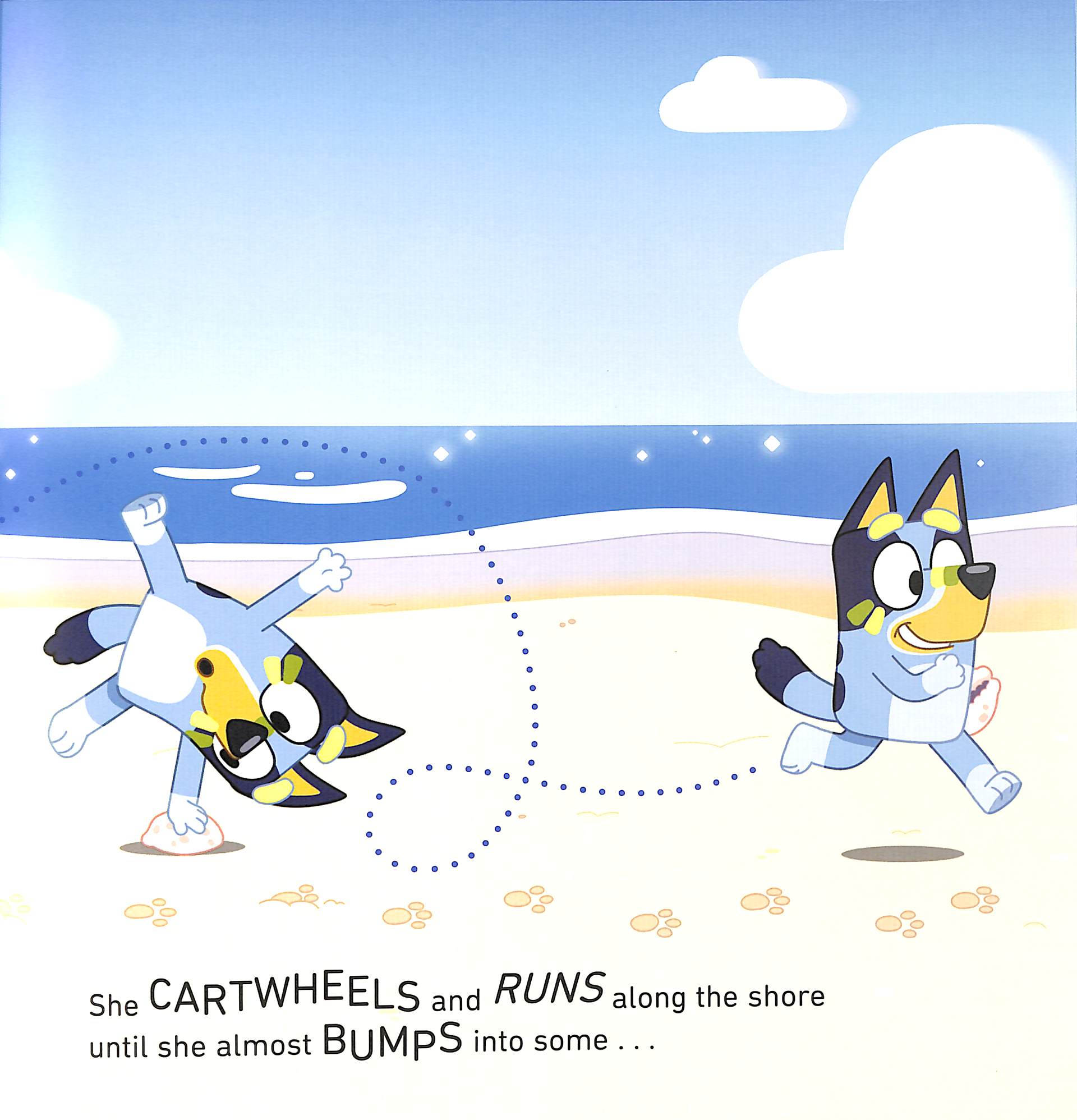 Bluey: The Beach