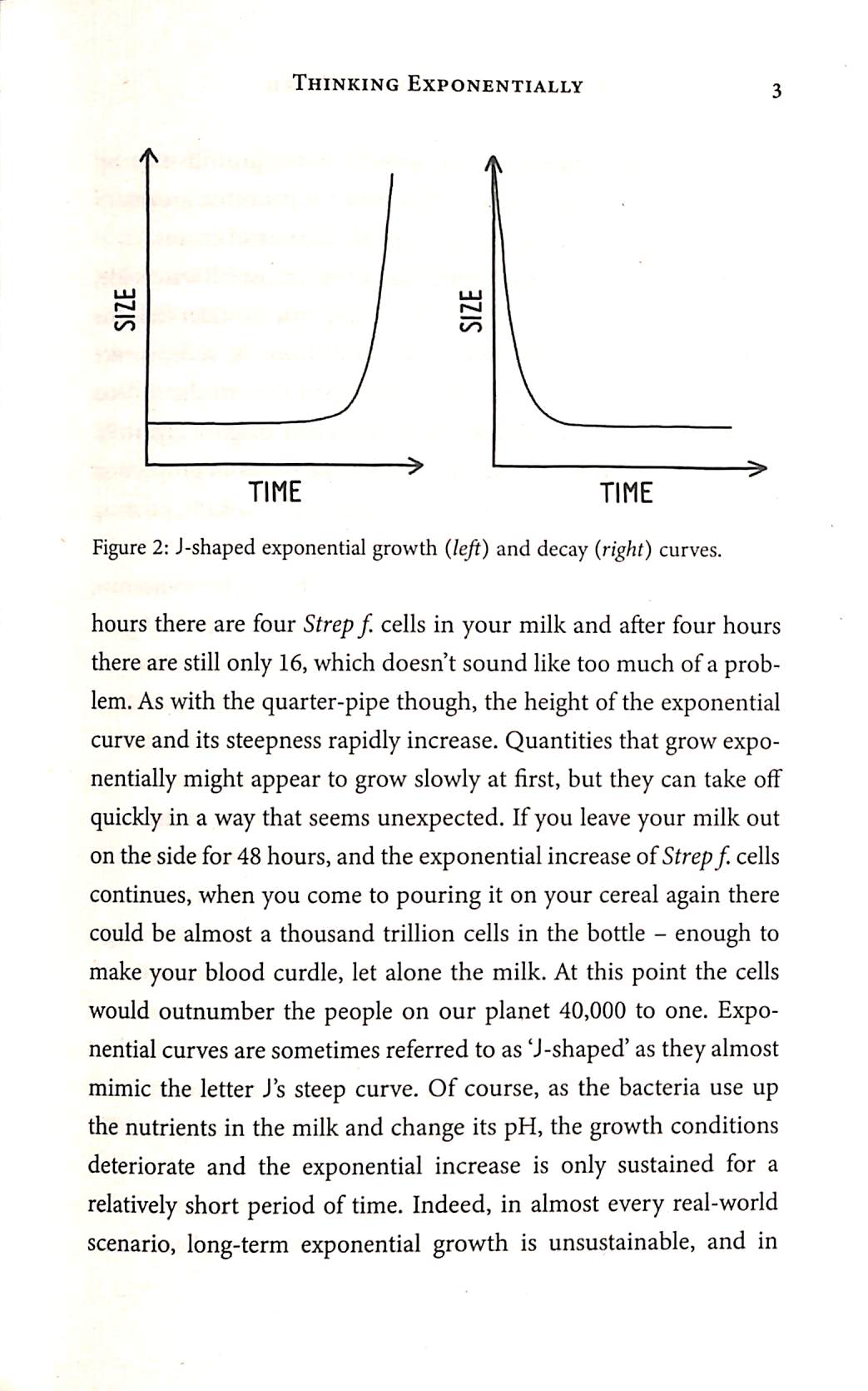 The Maths of Life and Death by Yates, Kit (9781787475403) | Browns Books