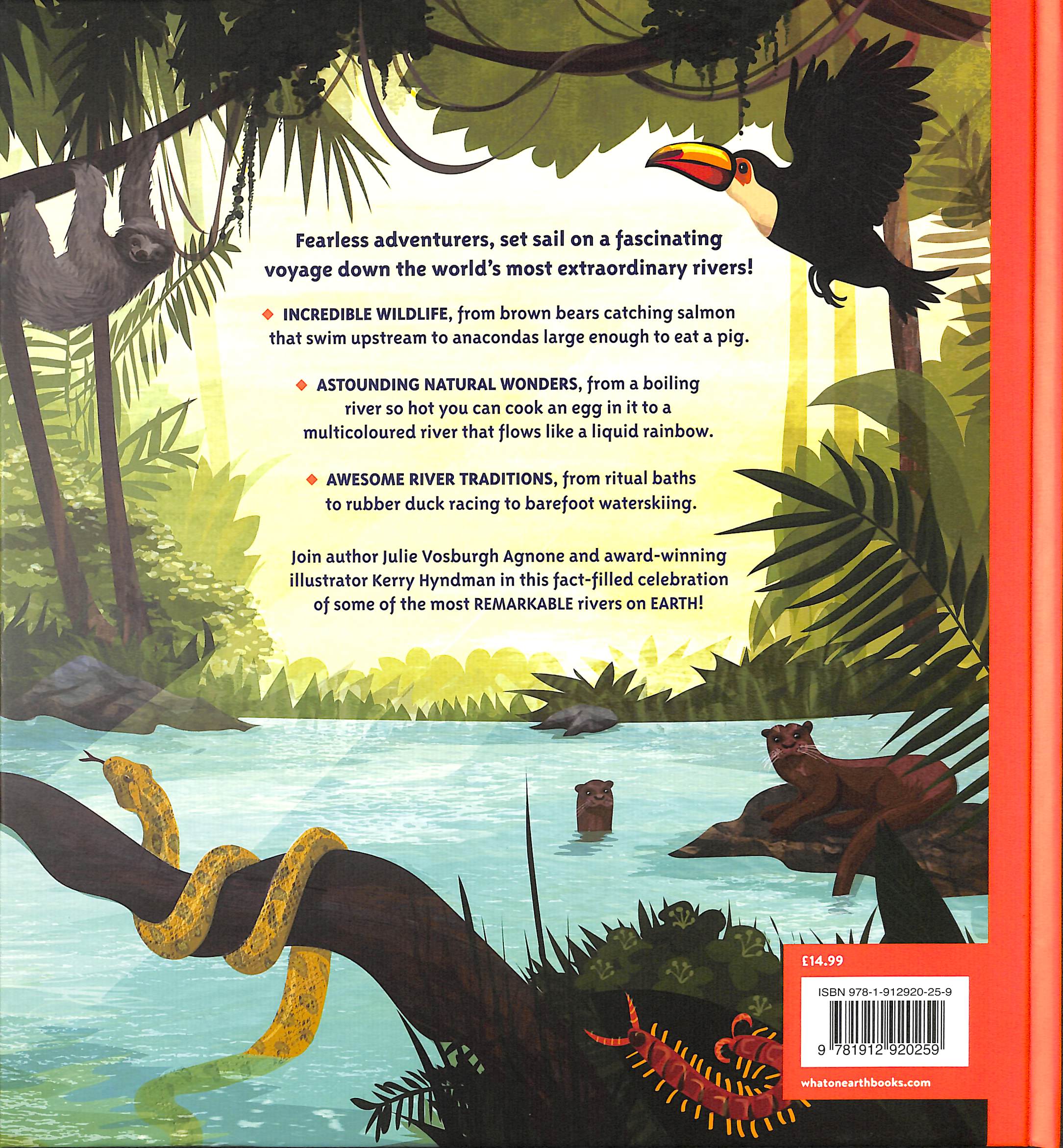 Amazing Rivers by Vosburgh Agnone, Julie (9781912920259) | Browns Books