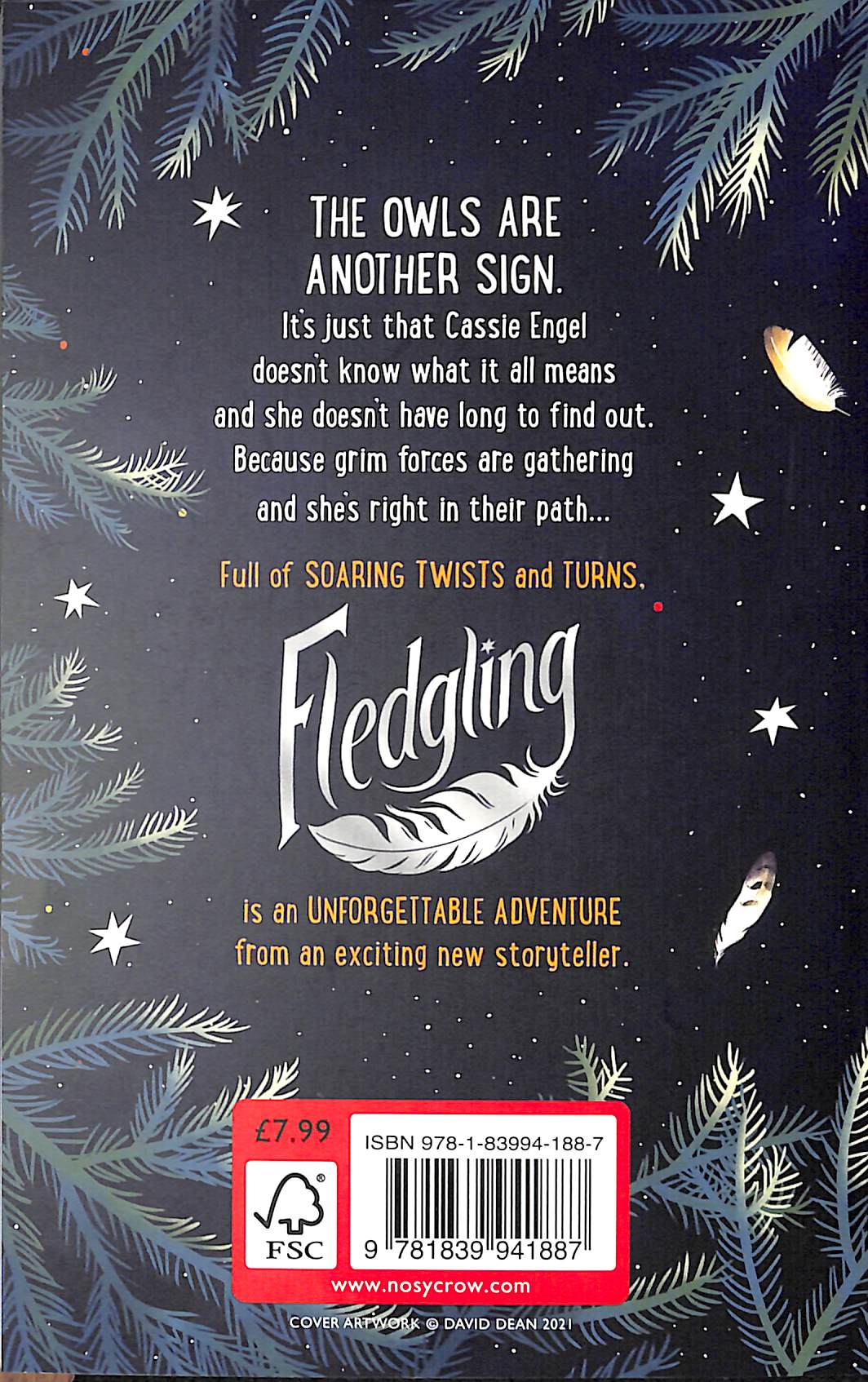 Fledgling by Hope, Lucy (9781839941887) | Browns Books