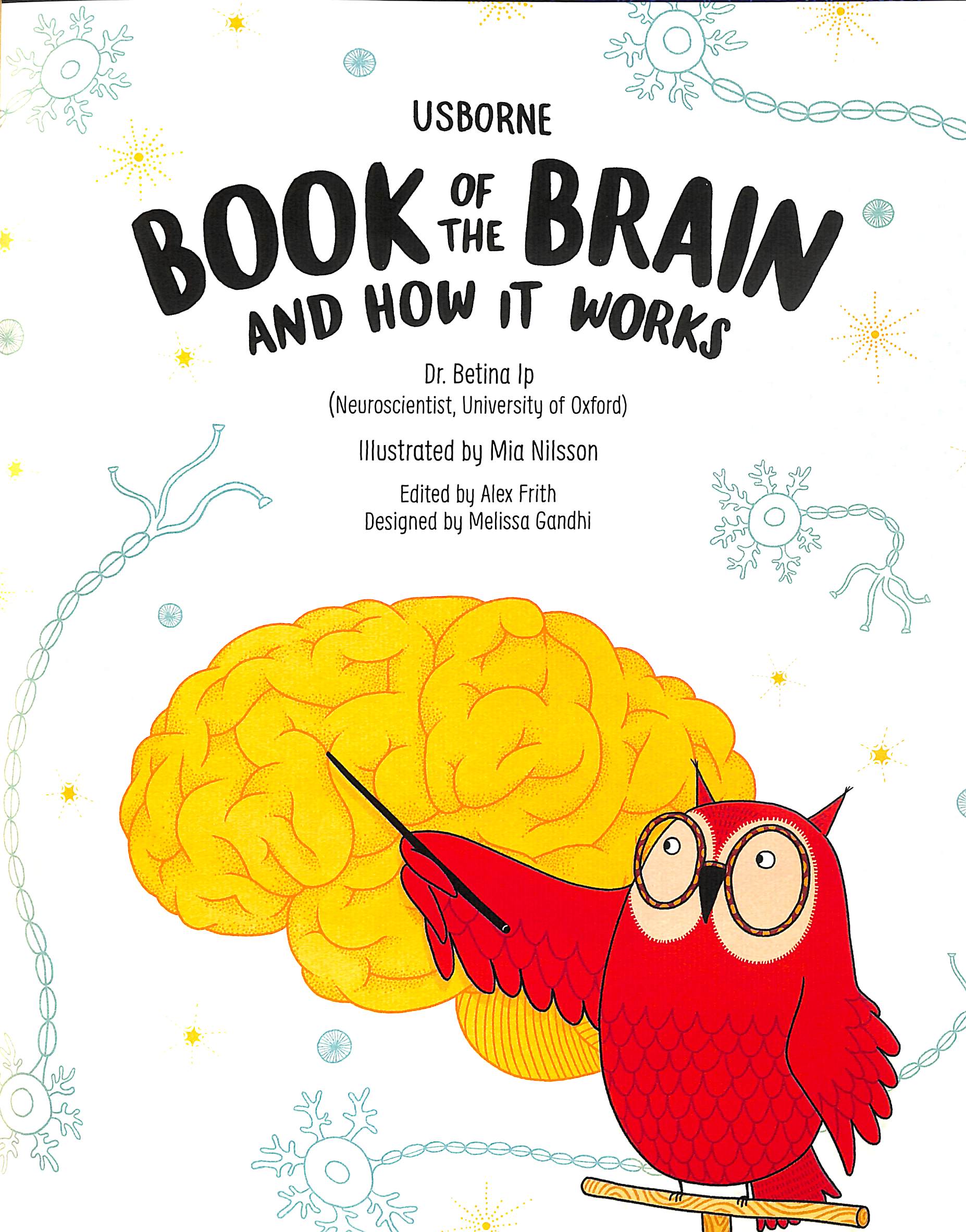 Usborne Book of the Brain and How it Works by Betina Ip (9781474950589 ...
