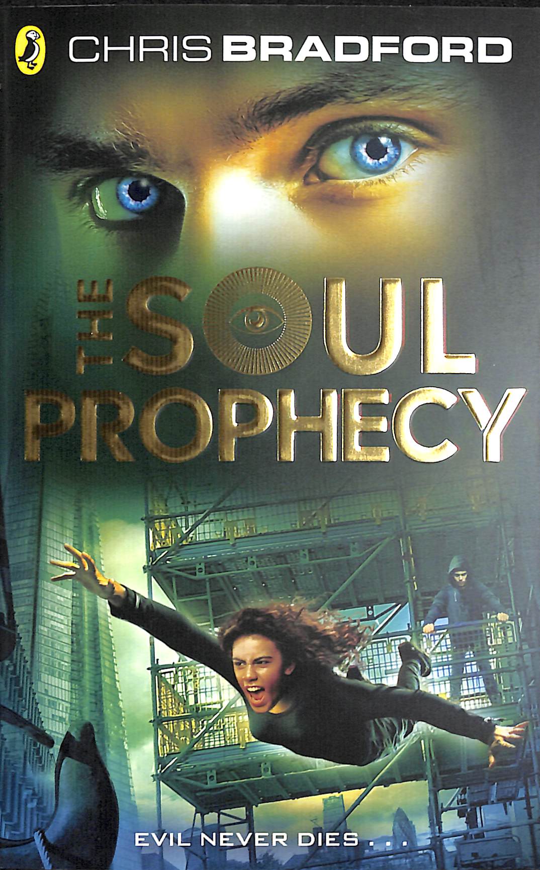 The Soul Prophecy by Bradford, Chris (9780241326725) | Browns Books