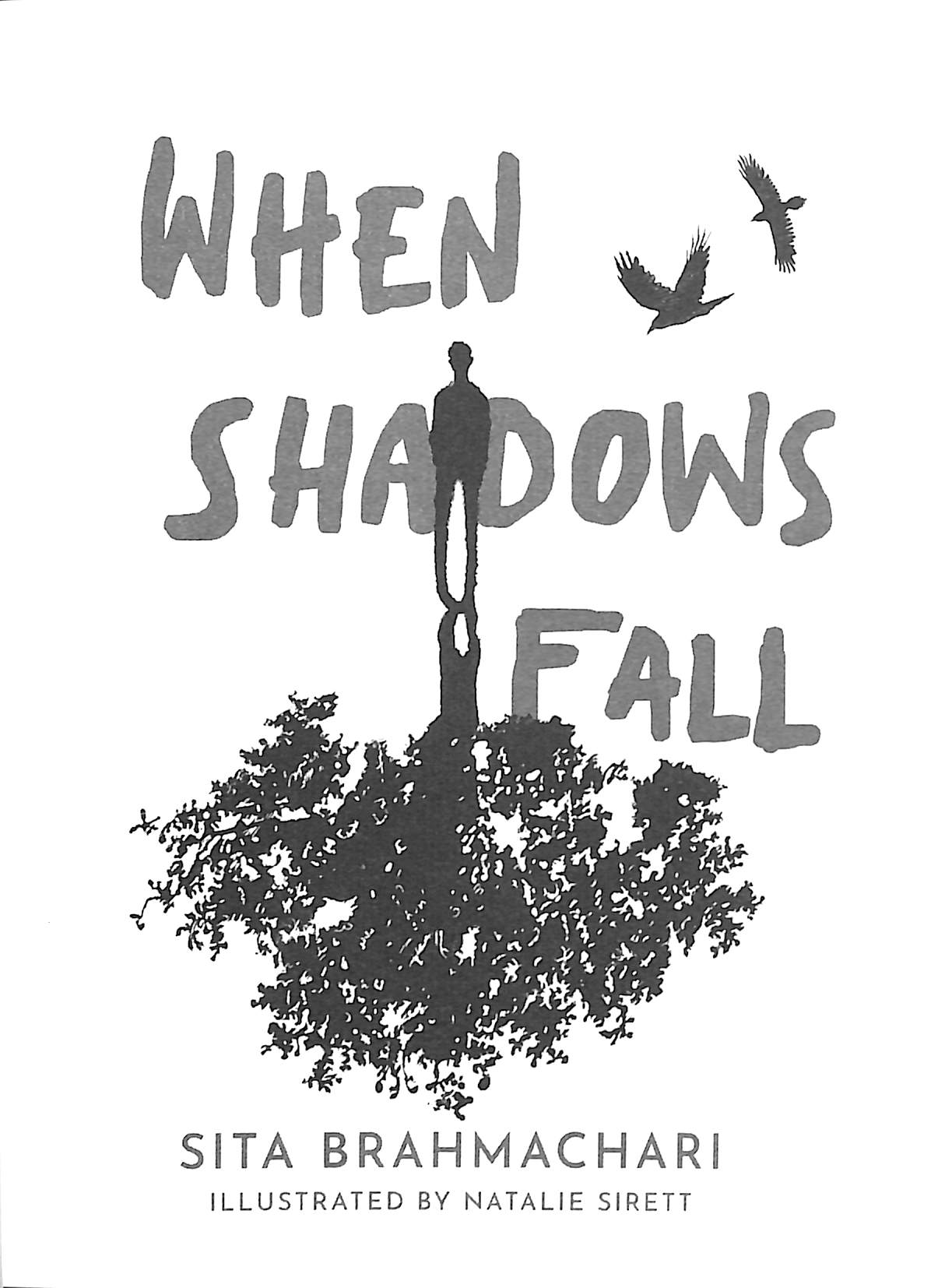 When Shadows Fall by Brahmachari, Sita (9781788954365) | Browns Books