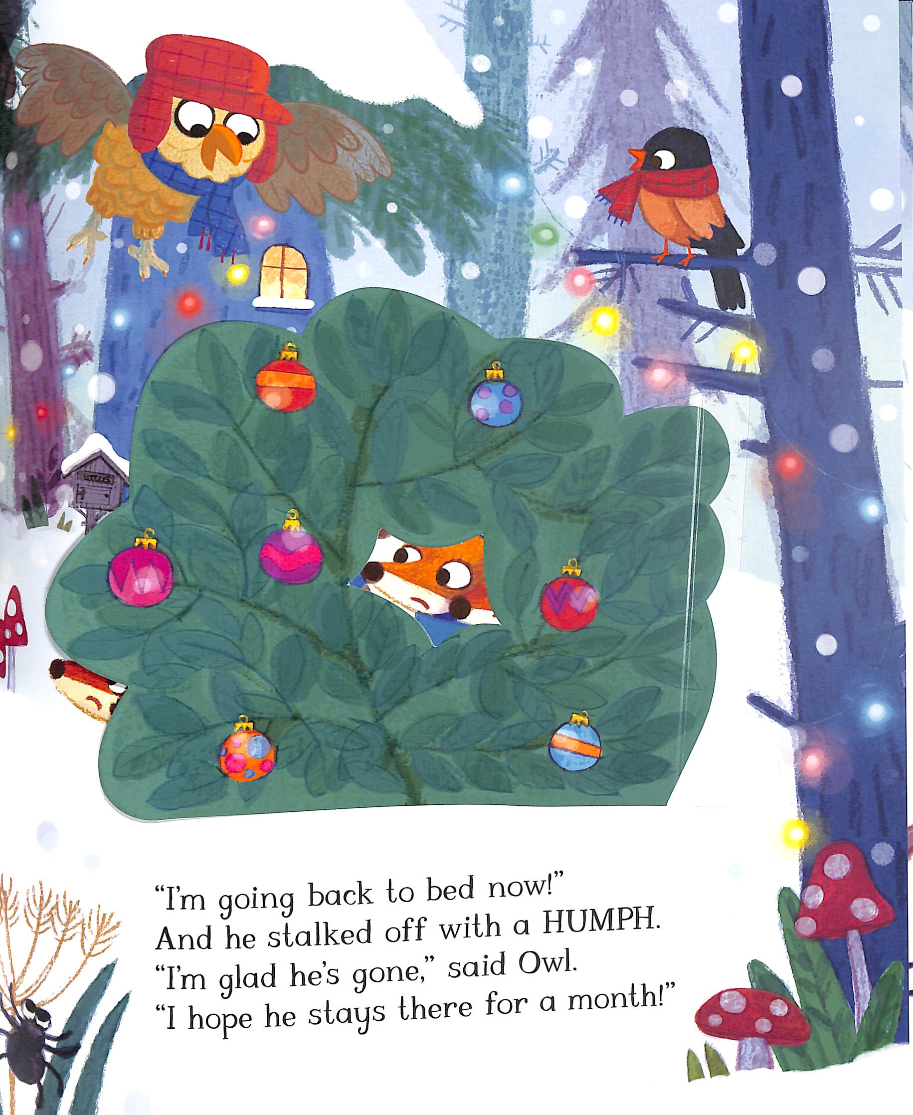 Mr Badger's Christmas wish by Murray, Lily (9781529048803) | BrownsBfS