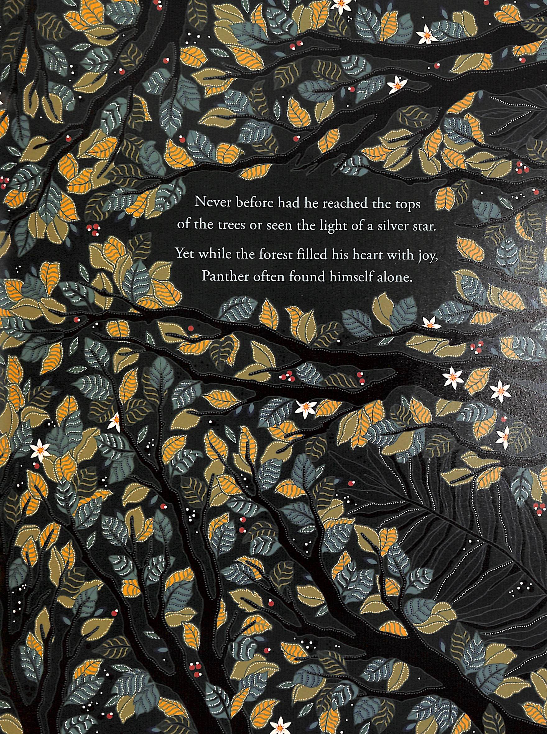 The Midnight Panther by Mistry, Poonam (9781787418929) | Browns Books