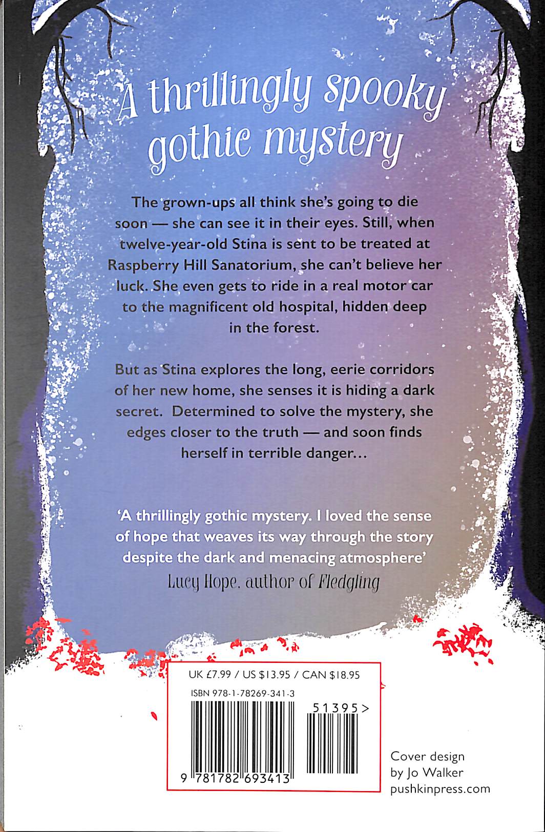 The Mystery of Raspberry Hill by Frantz, Eva (9781782693413) | Browns Books