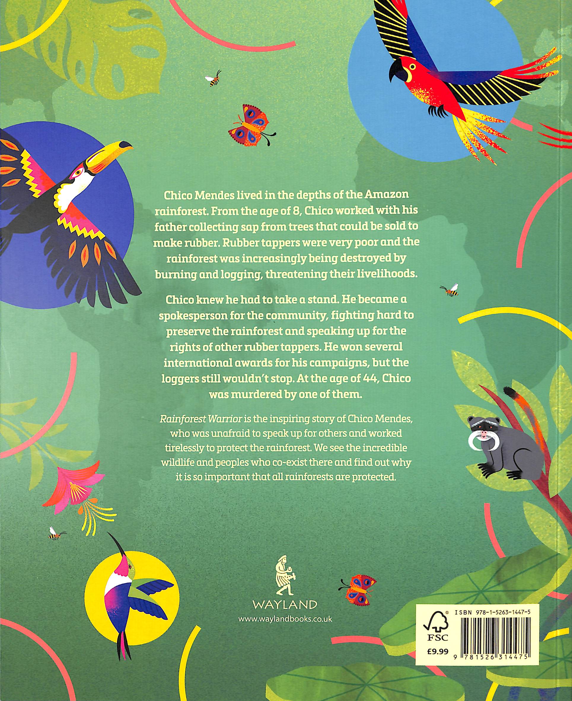 Rainforest Warrior by Ganeri, Anita (9781526314475) | Browns Books