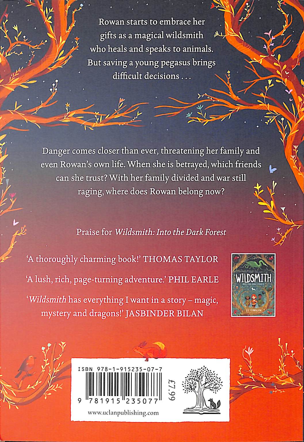 City of Secrets by Flanagan, Liz (9781915235077) | Browns Books