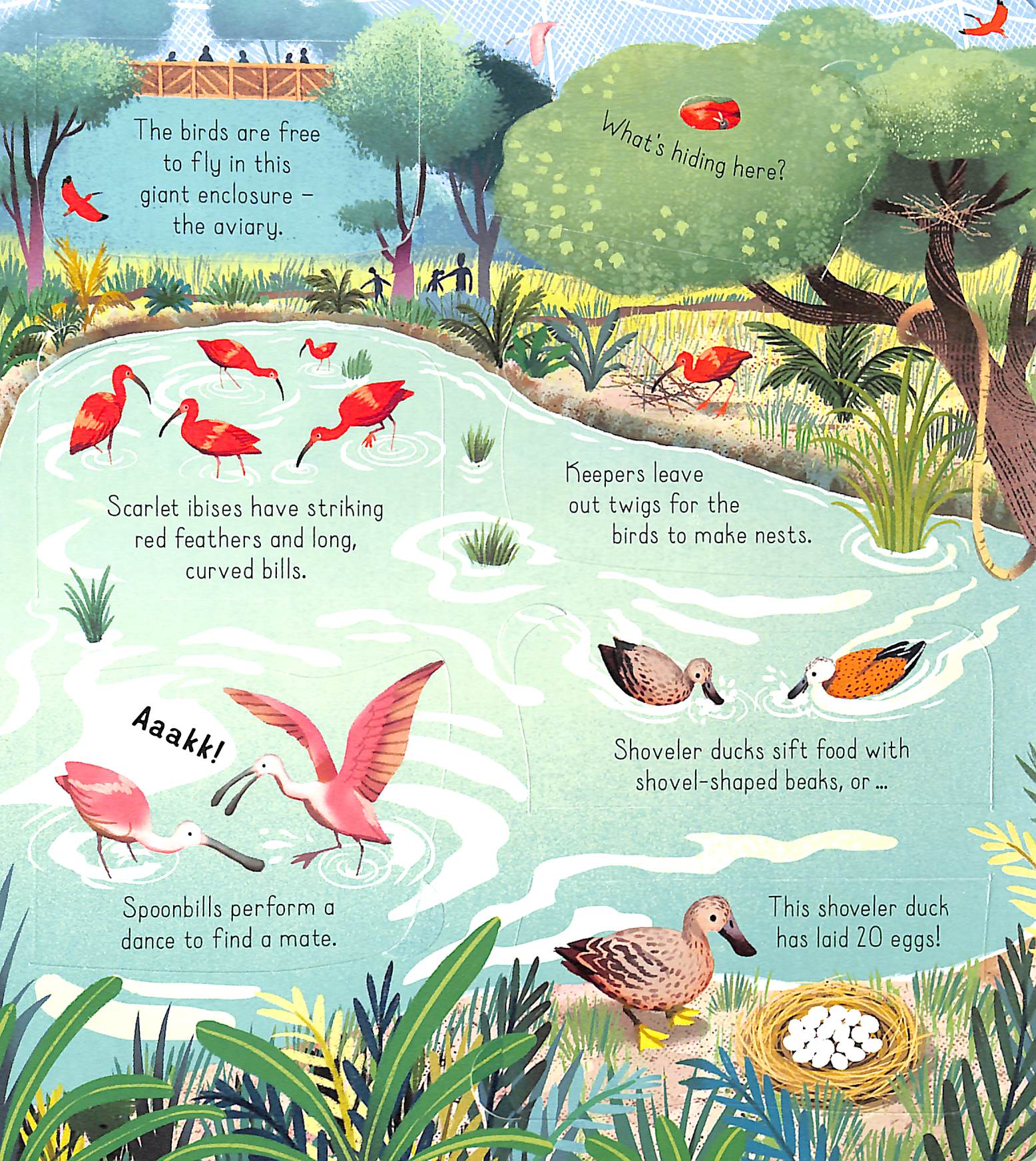 Look Inside a Zoo by Lacey, Minna (9781803701752) | Browns Books