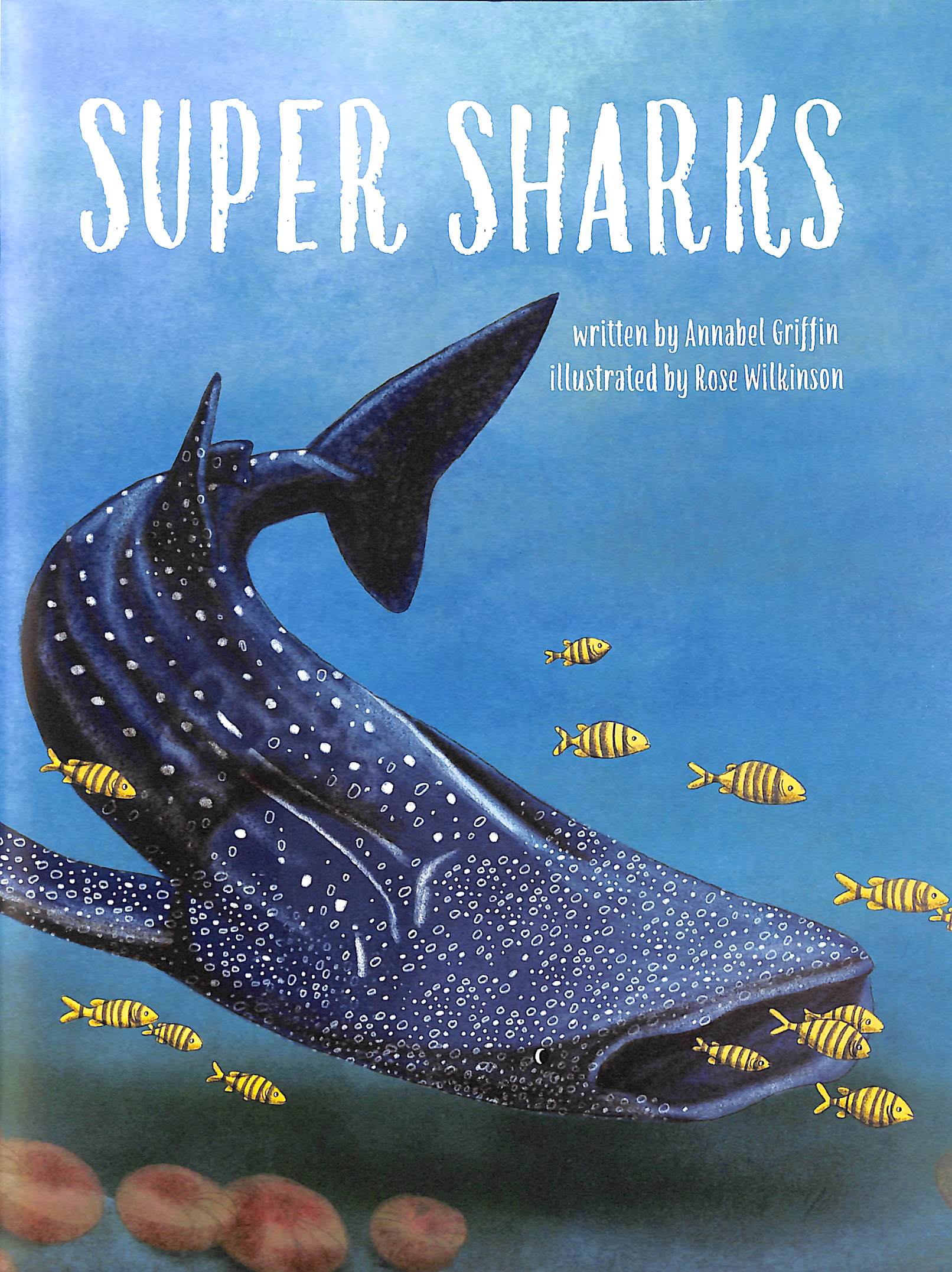 SUPER SHARKS by Griffin, Annabel (9781915461711) | Browns Books