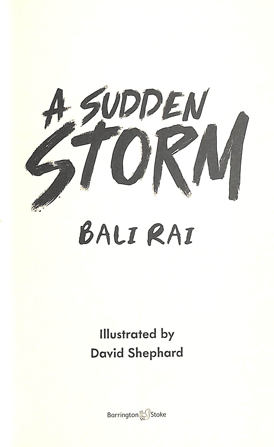 A Sudden Storm by Rai, Bali (9781800902534) | Browns Books