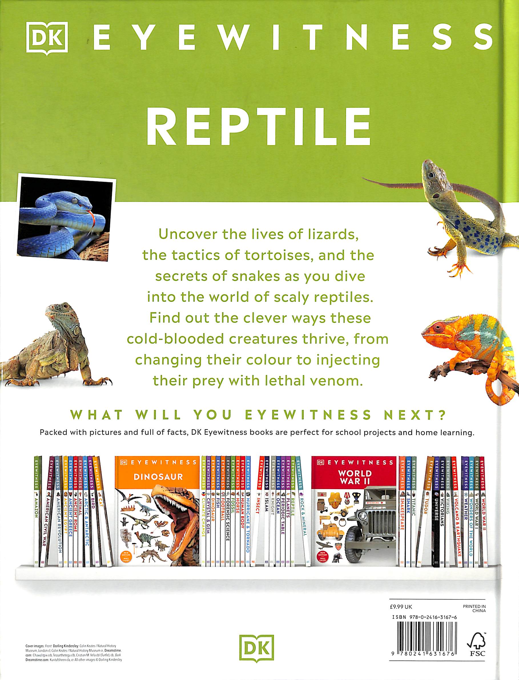 Reptile (Revised edition)