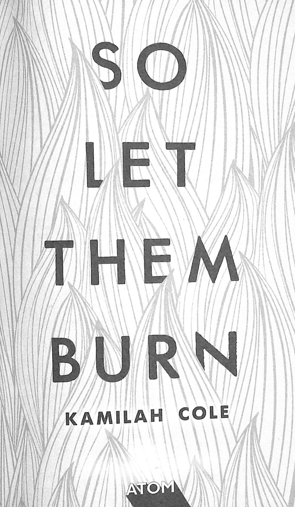 So Let Them Burn by Cole, Kamilah (9780349125442) | Browns Books