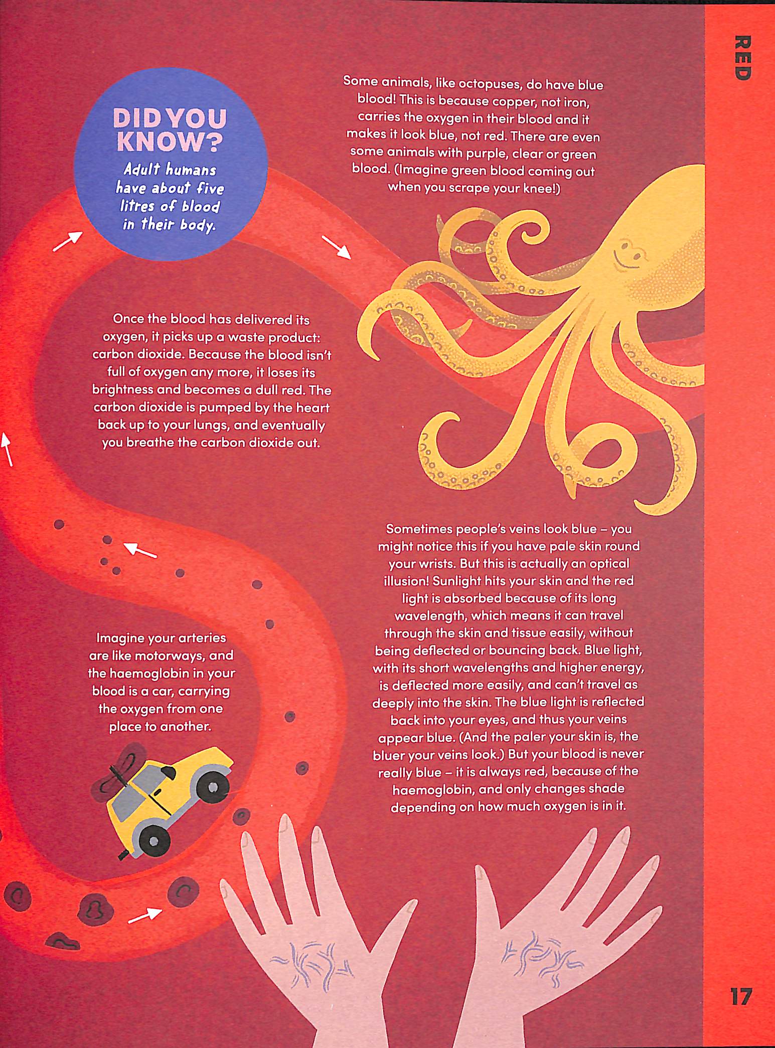 Can You Get Rainbows in Space? by Kanani, Dr Sheila (9780241519738 ...