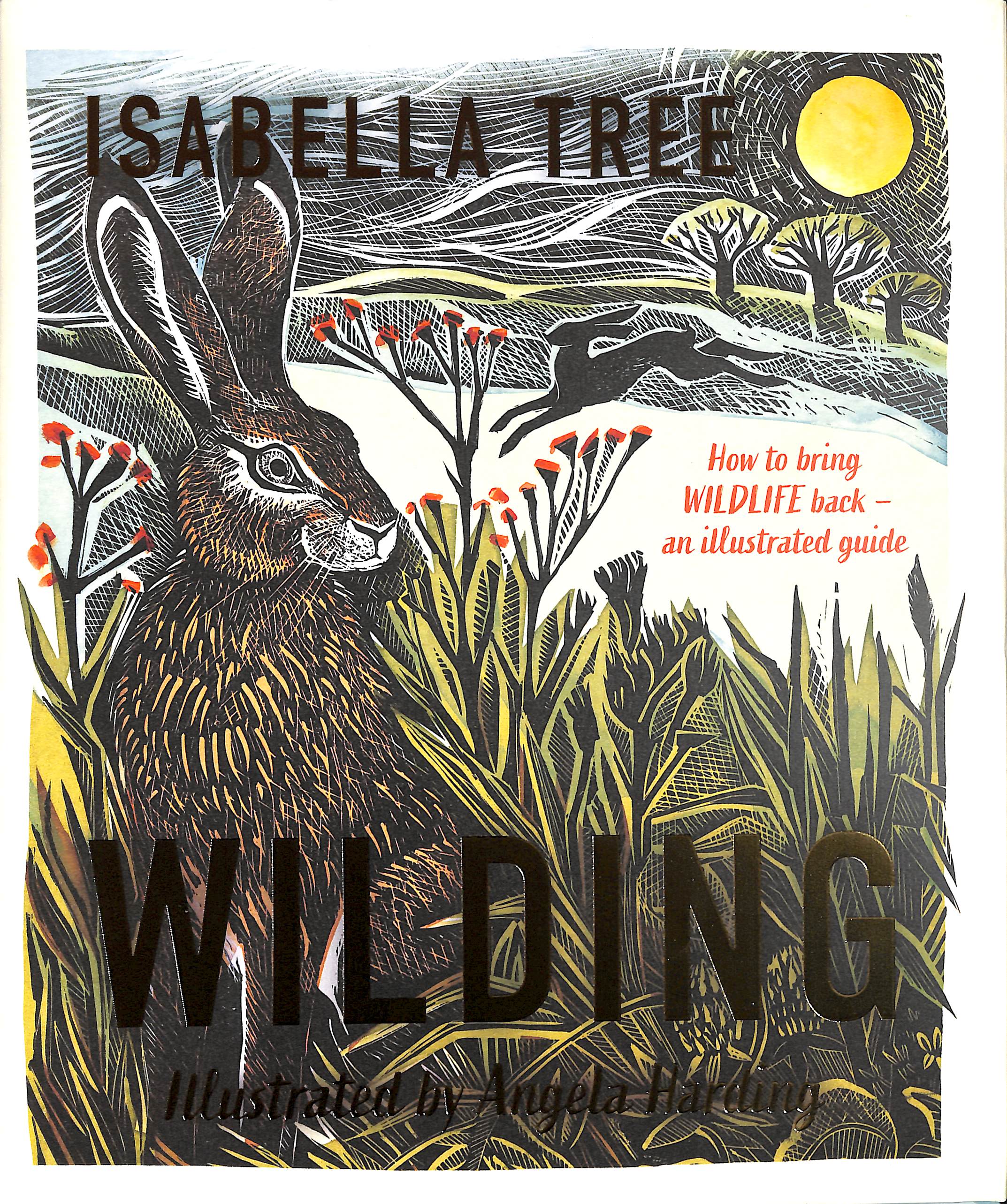 Wilding: How to Bring Wildlife Back - an Illustrated Guide by Tree ...