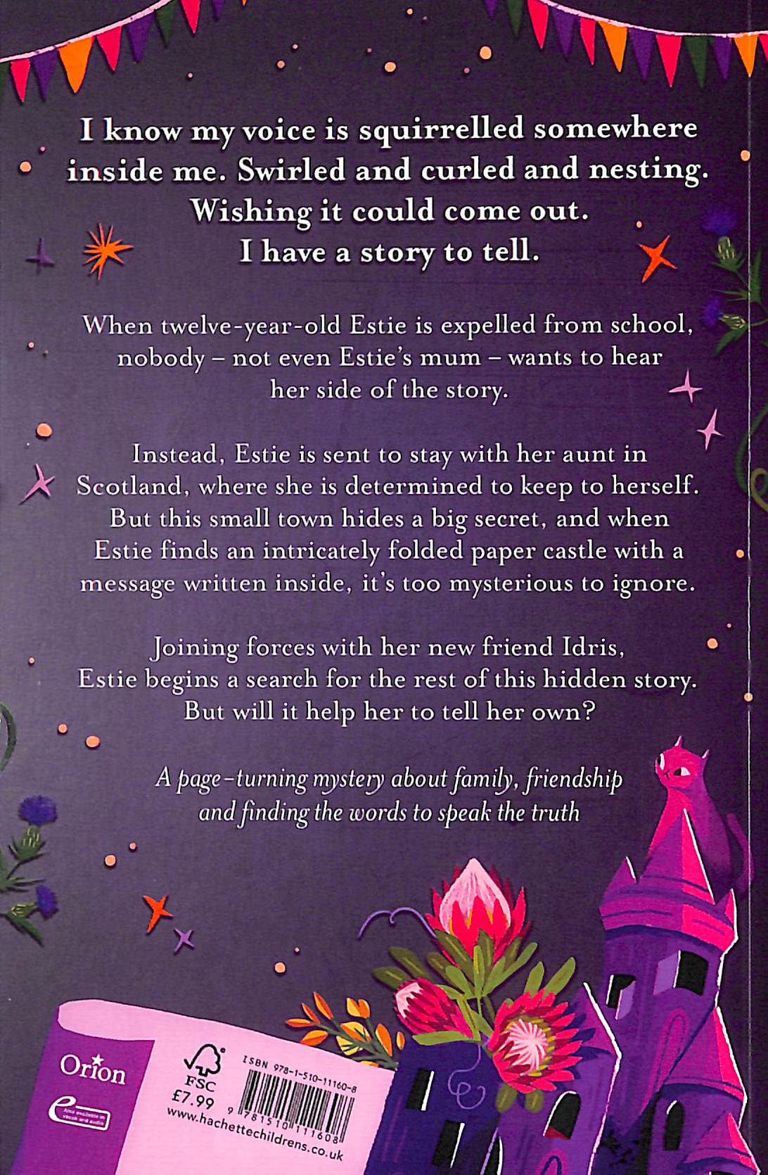 The Hidden Story of Estie Noor by Jassat, Nadine Aisha (9781510111608 ...