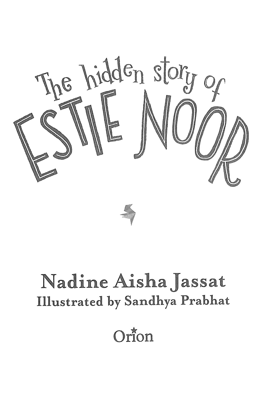 The Hidden Story of Estie Noor by Jassat, Nadine Aisha (9781510111608 ...