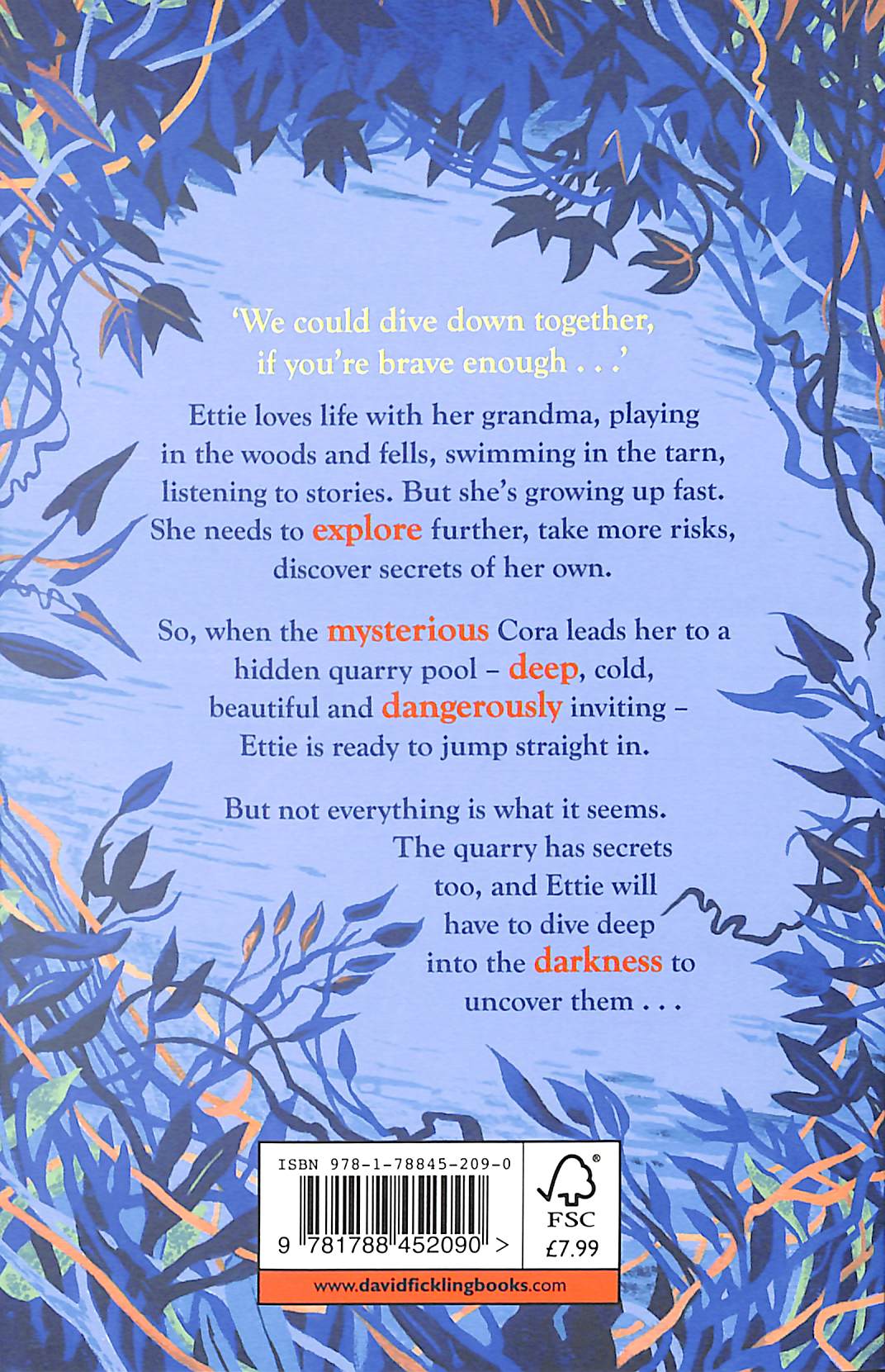 Ettie and the Midnight Pool