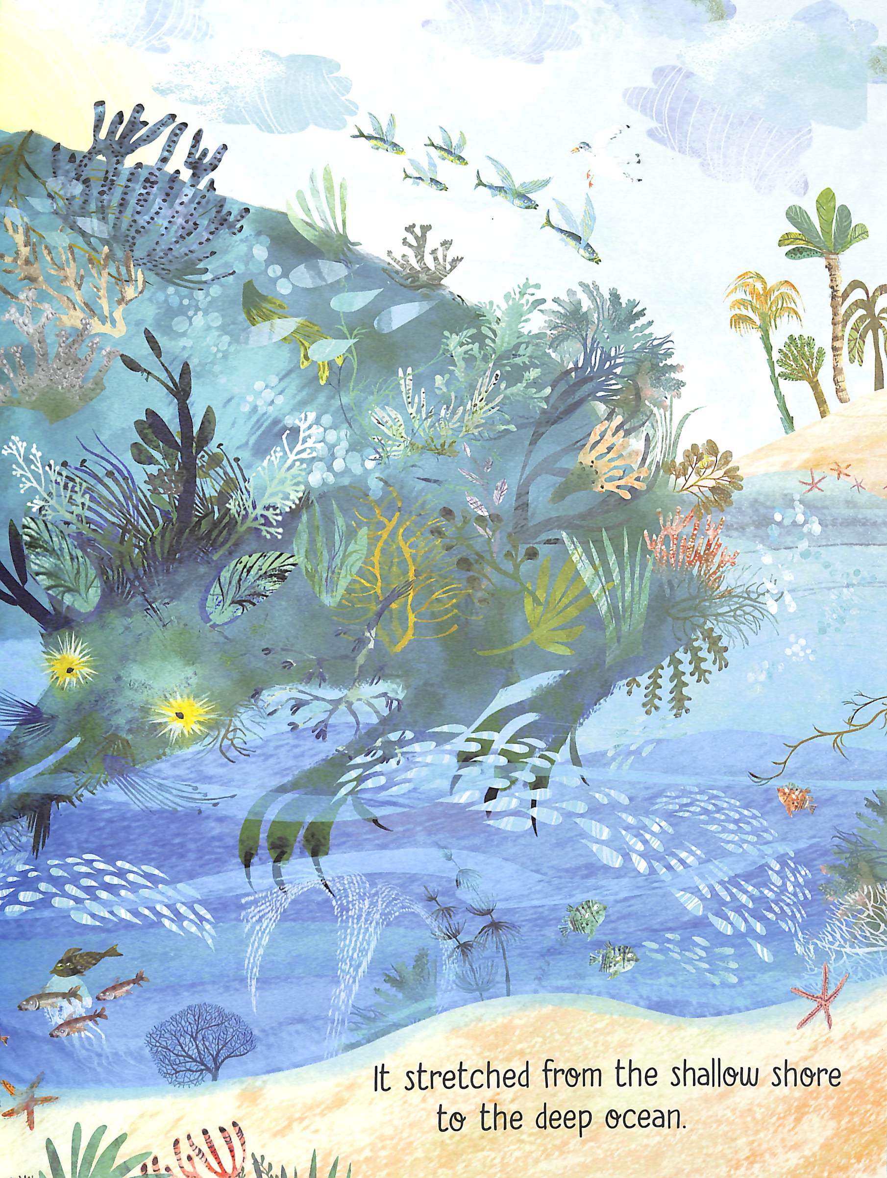 The Wild by Zommer, Yuval (9780192782632) | Browns Books