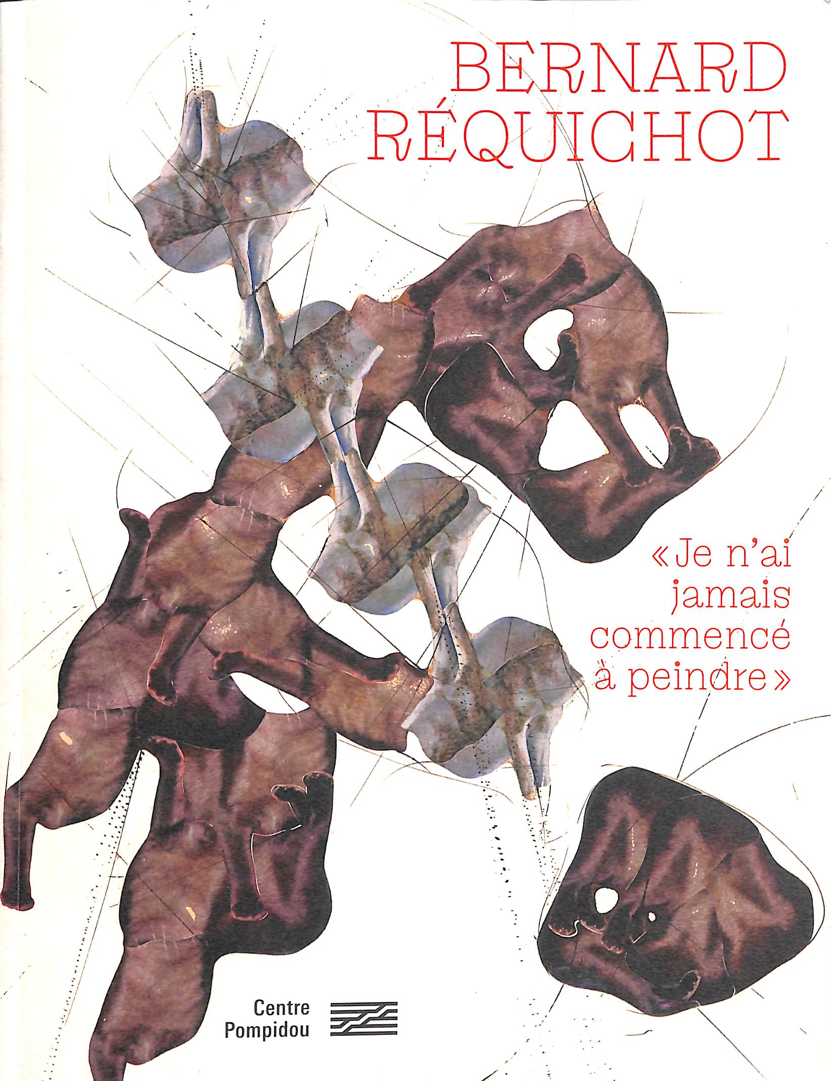 Bernard Requichot - Exhibition Catalogue by Centre Georges Pompidou ...