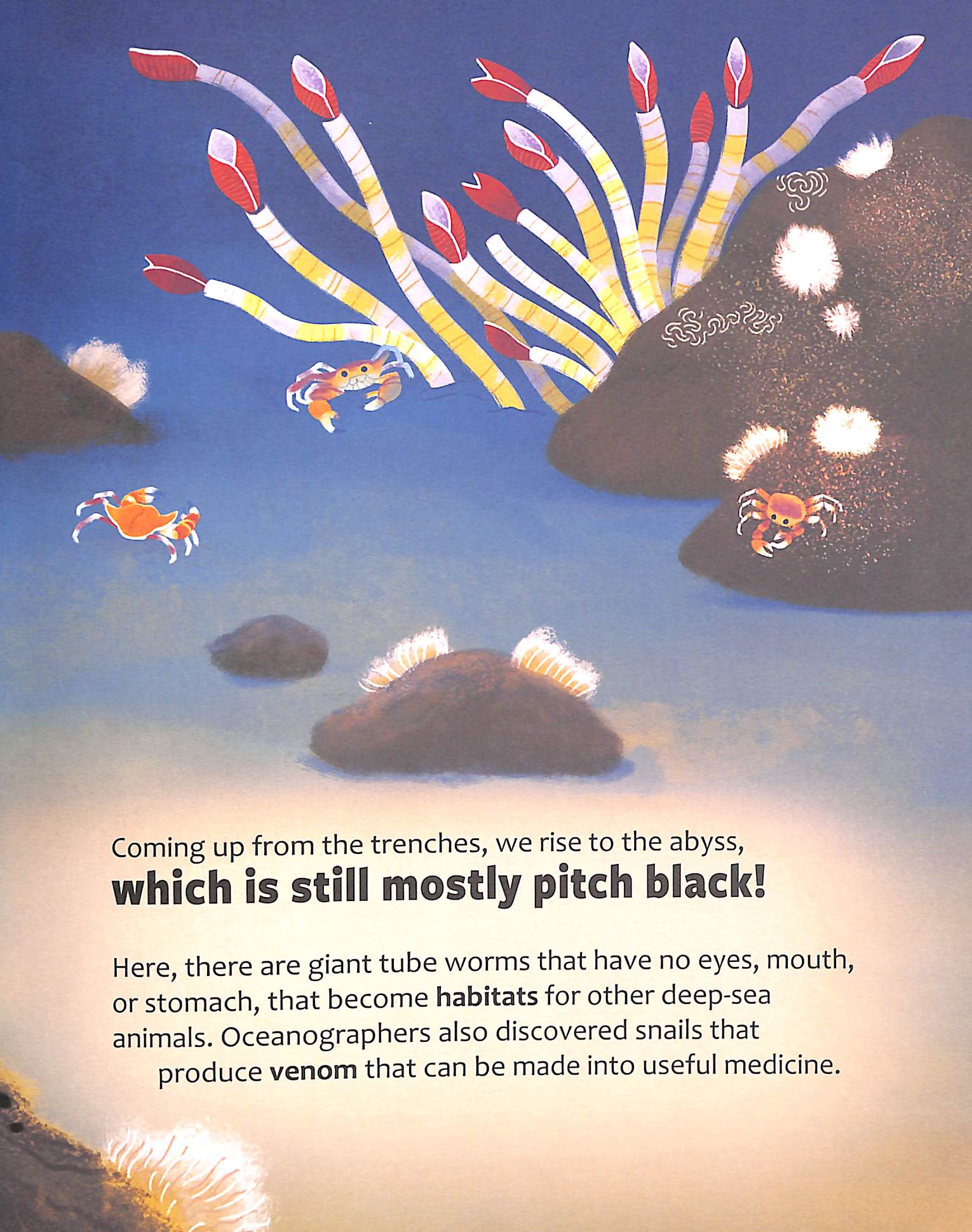 How Do Oceans Help Us Breathe? by Jeffery, Eliza (9781835691342 ...