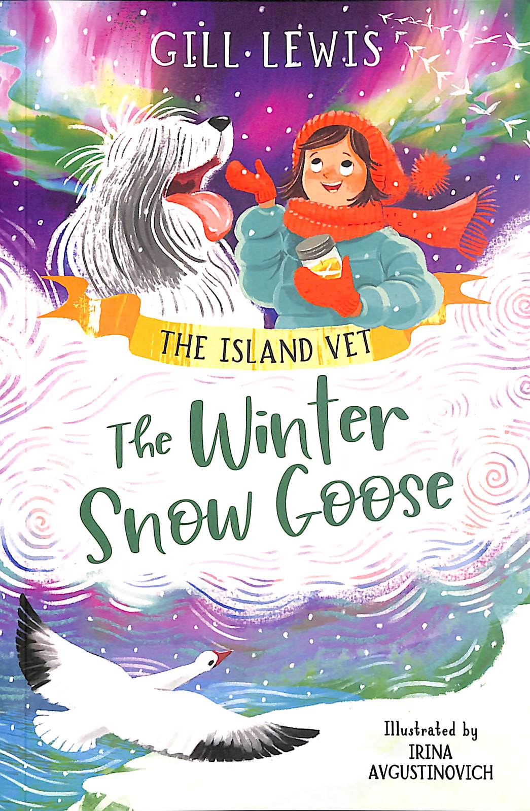 The Winter Snow Goose by Lewis, Gill (9780008770006) | Browns Books