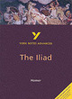 The Iliad (York Notes Advanced) English Literature Study Guide - for ...