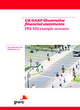 UK GAAP Illustrative Financial Statements: FRS 102 Example Accounts by ...