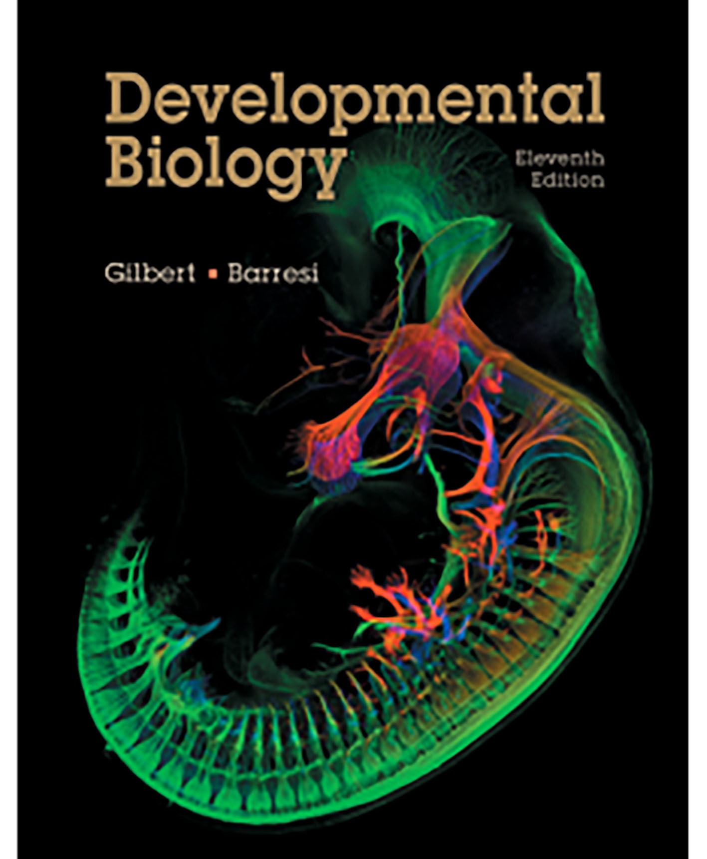 Developmental Biology by Gilbert, Scott F. (9781605354705) | Browns Books