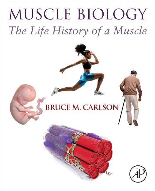 Muscle Biology by Carlson, Bruce M. (Professor, Department of Cell and ...