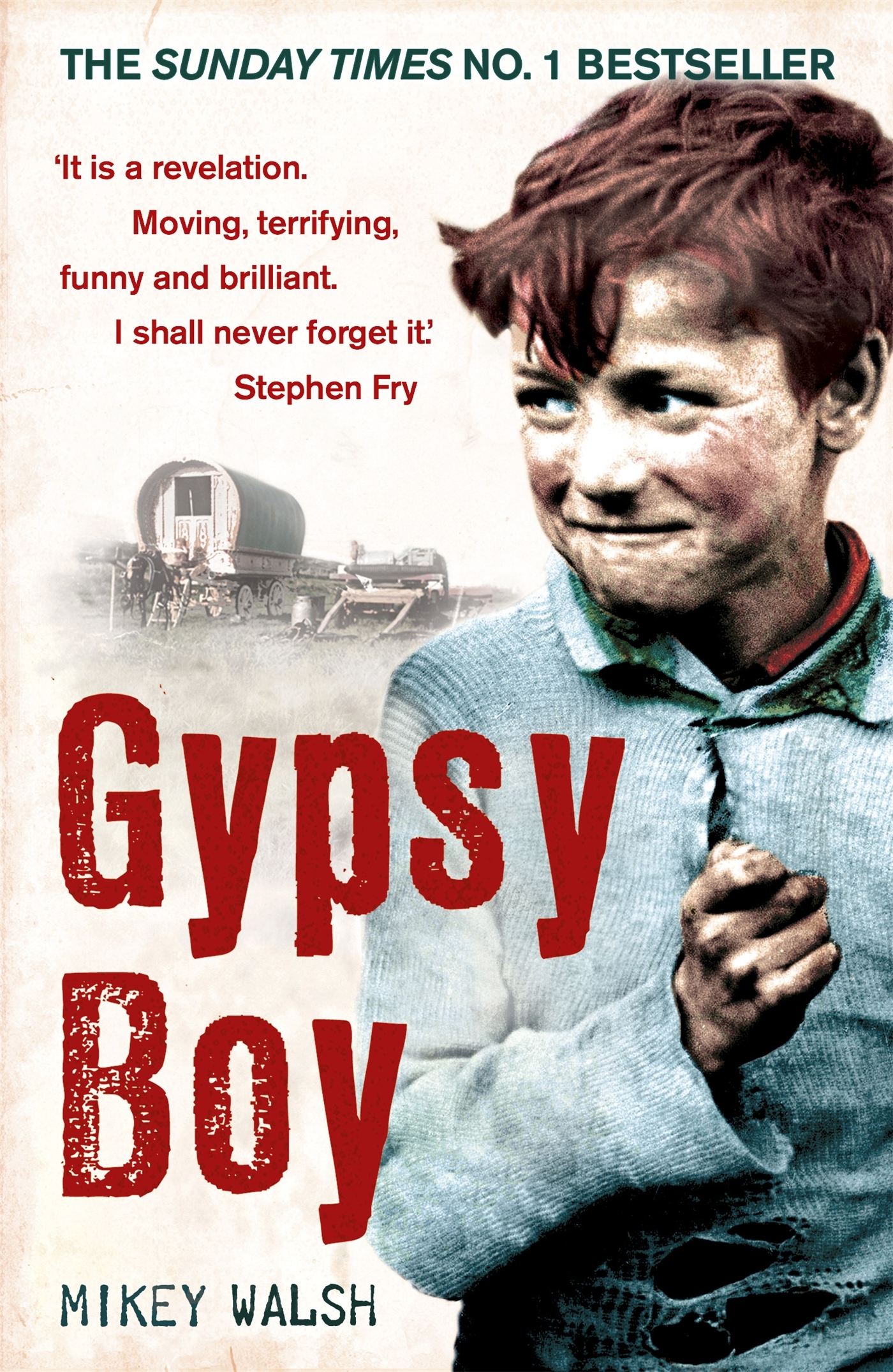 Gypsy Boy by Walsh, Mikey (9780340977989) | Browns Books