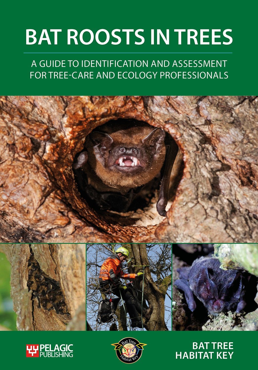 Bat roosts in trees: a guide to identification and assessment for tree ...